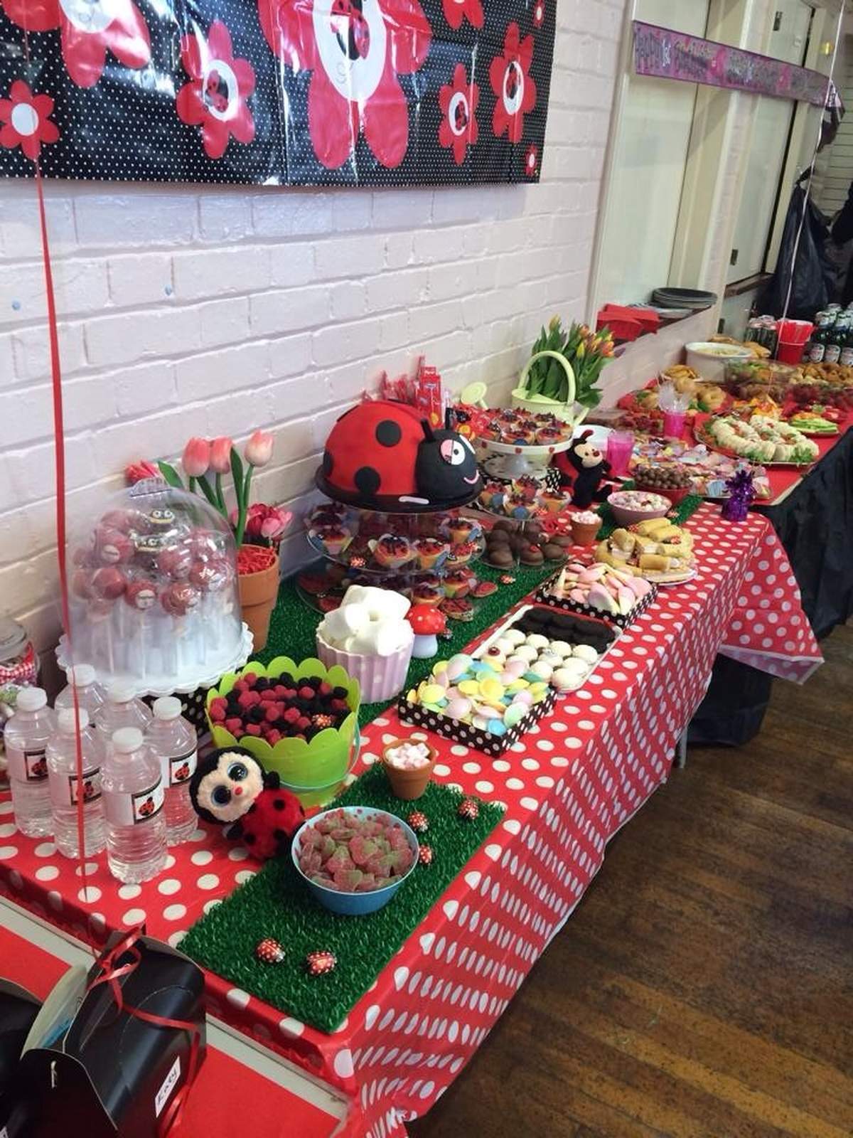 Ladybugs Birthday Party Ideas | Photo 9 of 13 | Catch My Party