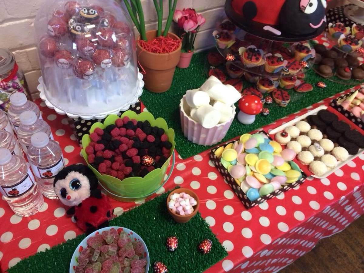 Ladybugs Birthday Party Ideas | Photo 9 of 13 | Catch My Party