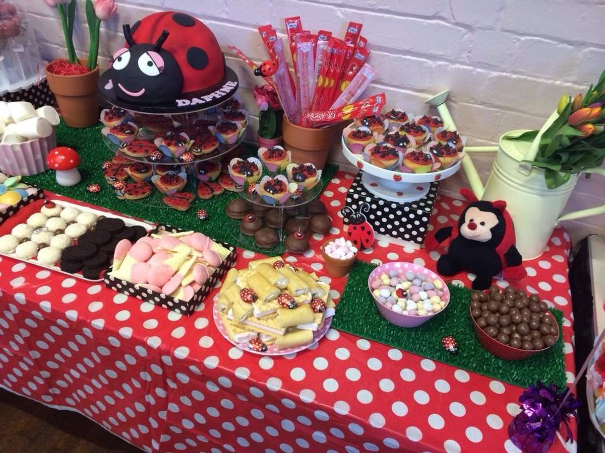 Ladybugs Birthday Party Ideas | Photo 9 of 13 | Catch My Party