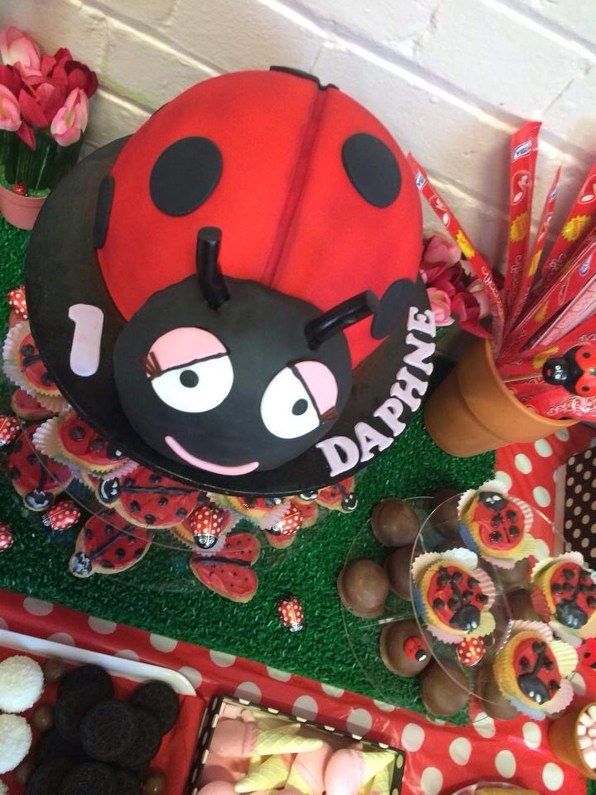 Ladybugs Birthday Party Ideas | Photo 9 of 13 | Catch My Party