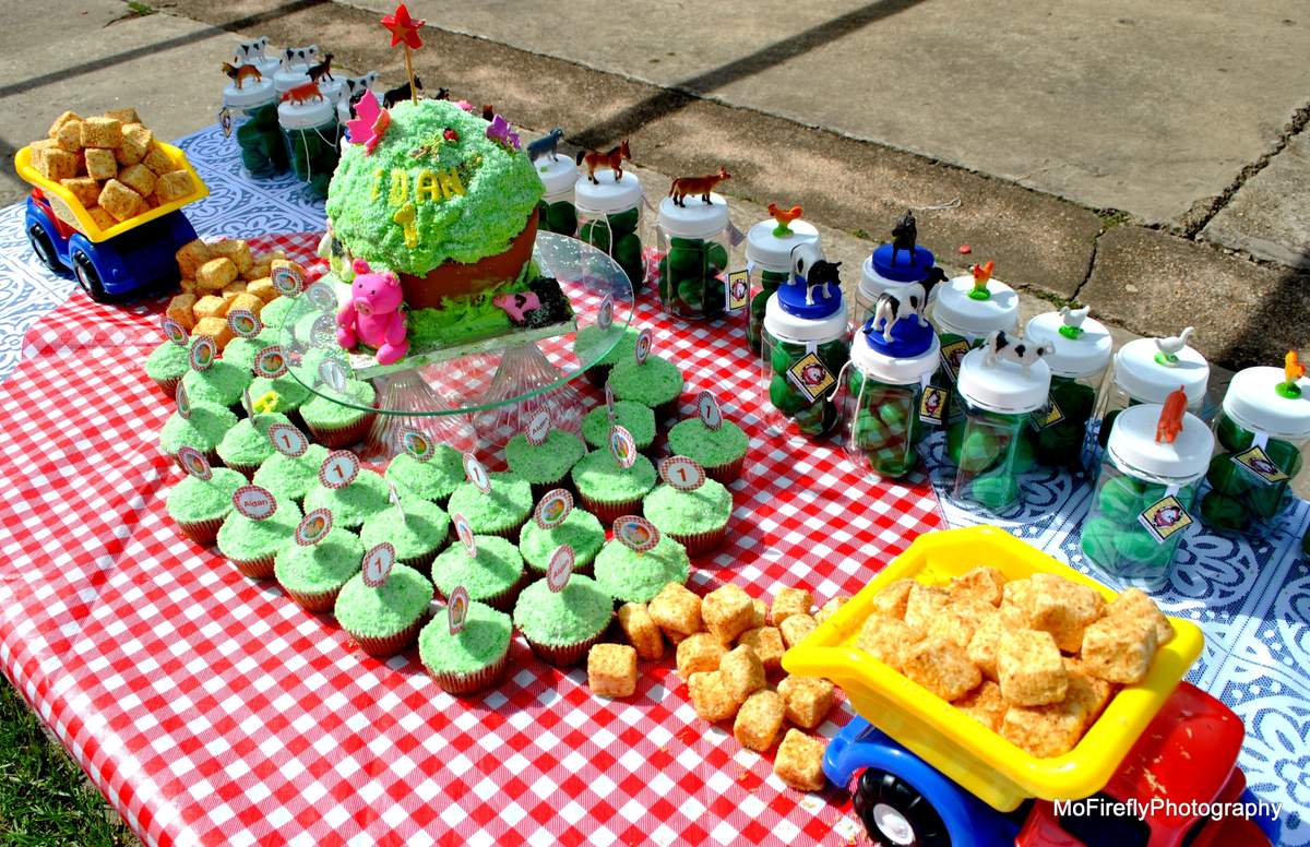 Barn Yard Picnic Birthday Party Ideas | Photo 10 of 13 | Catch My Party