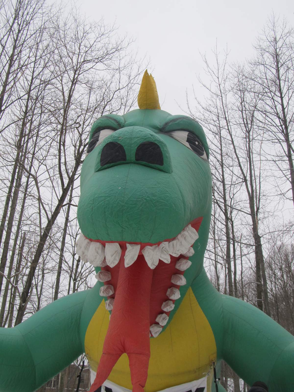 Godzilla Birthday Party Ideas | Photo 30 of 57 | Catch My Party