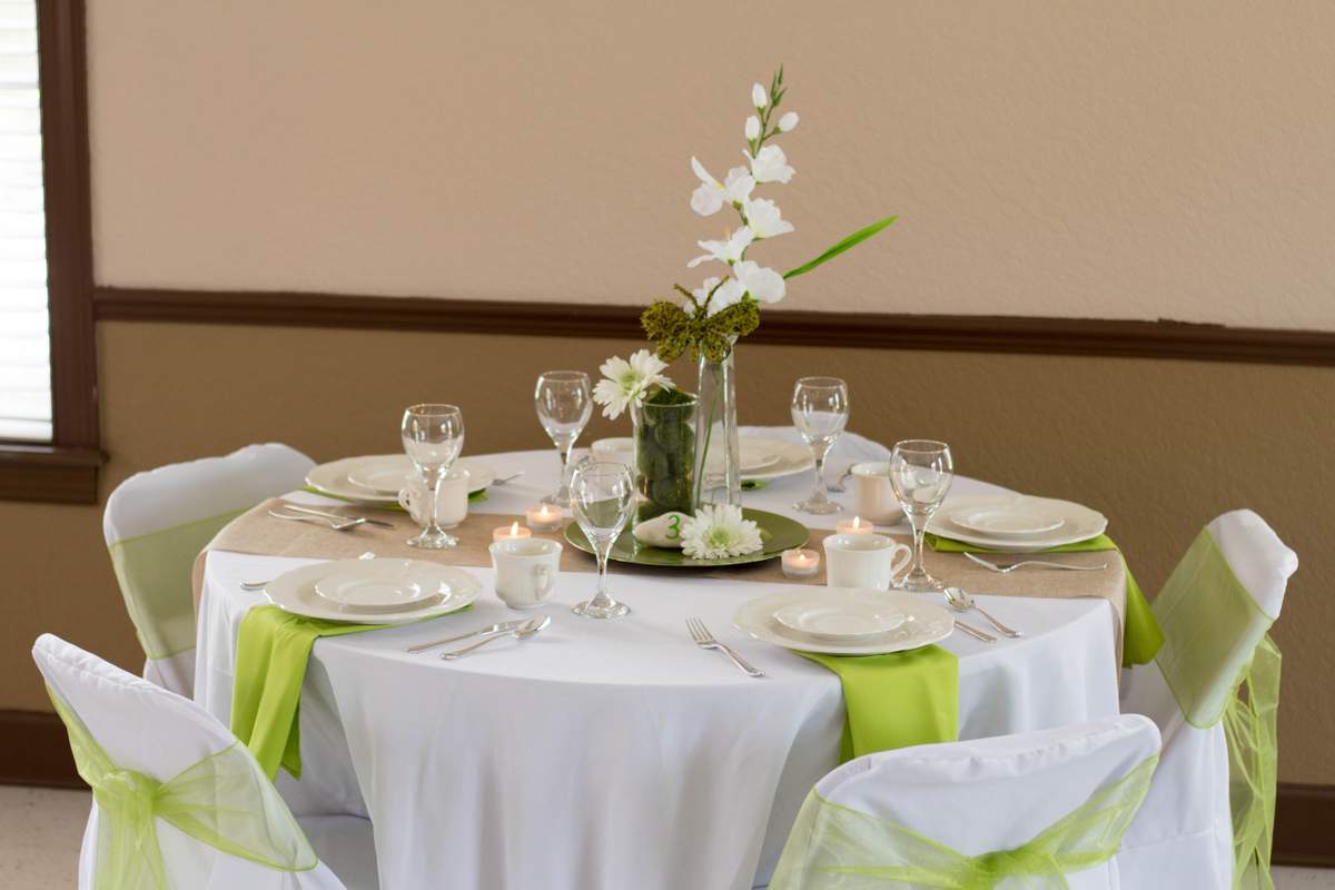 Green Apple- Go Green Wedding Party Ideas | Photo 3 of 10 | Catch My Party