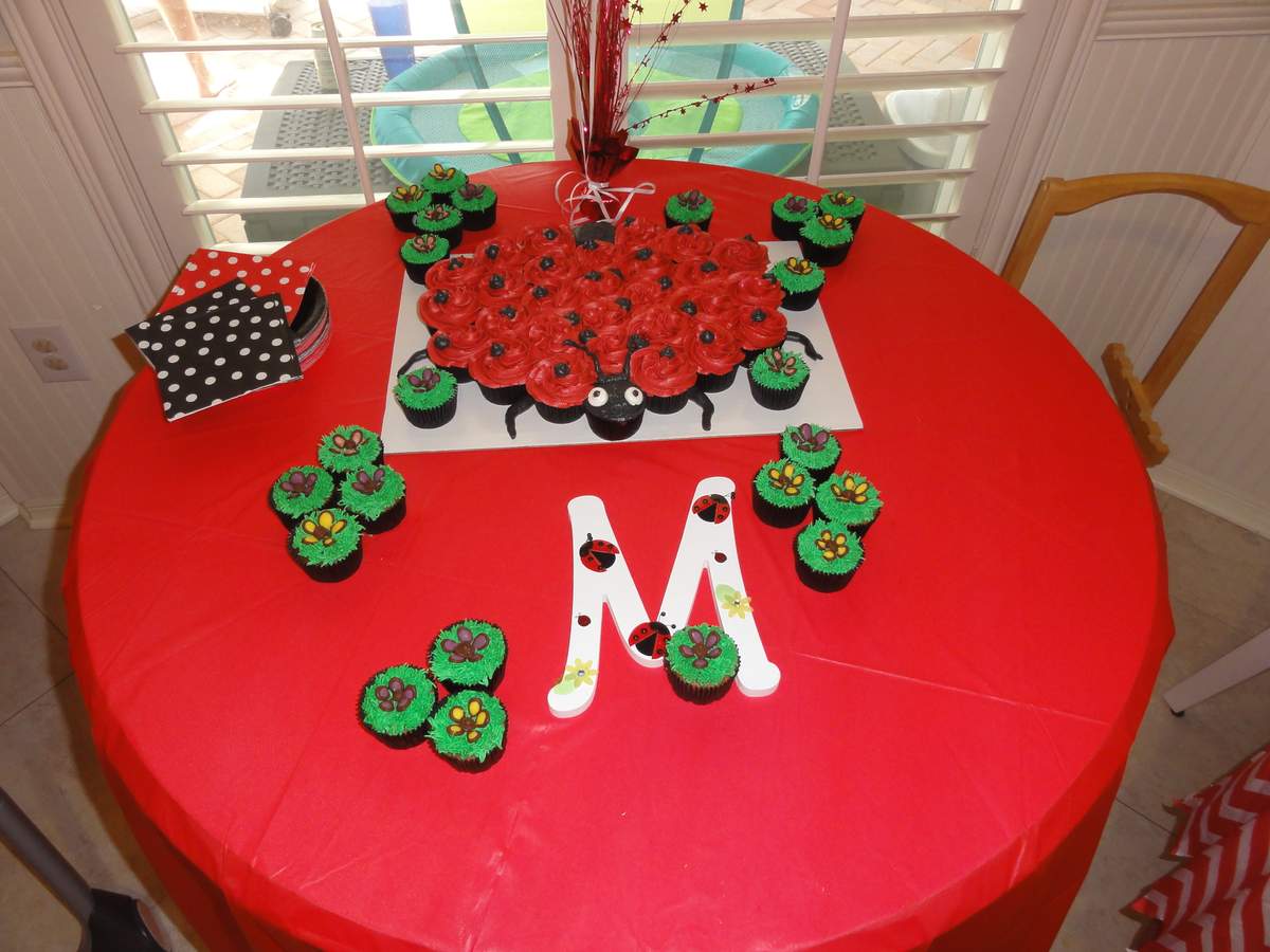 Ladybug Picnic Birthday Party Ideas | Photo 16 of 23 | Catch My Party