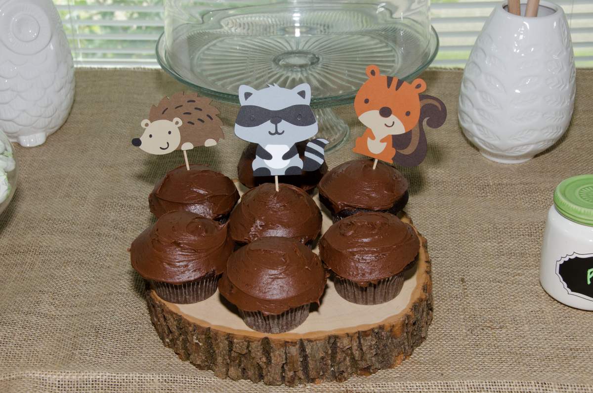 Woodland Animals Birthday Party Ideas | Photo 13 of 31 | Catch My Party