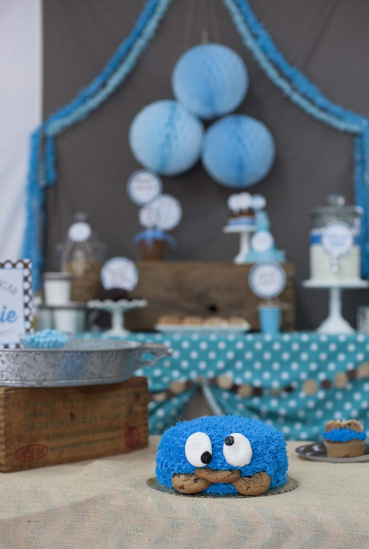 Cookie Monster Birthday Party Ideas | Photo 8 of 35 | Catch My Party