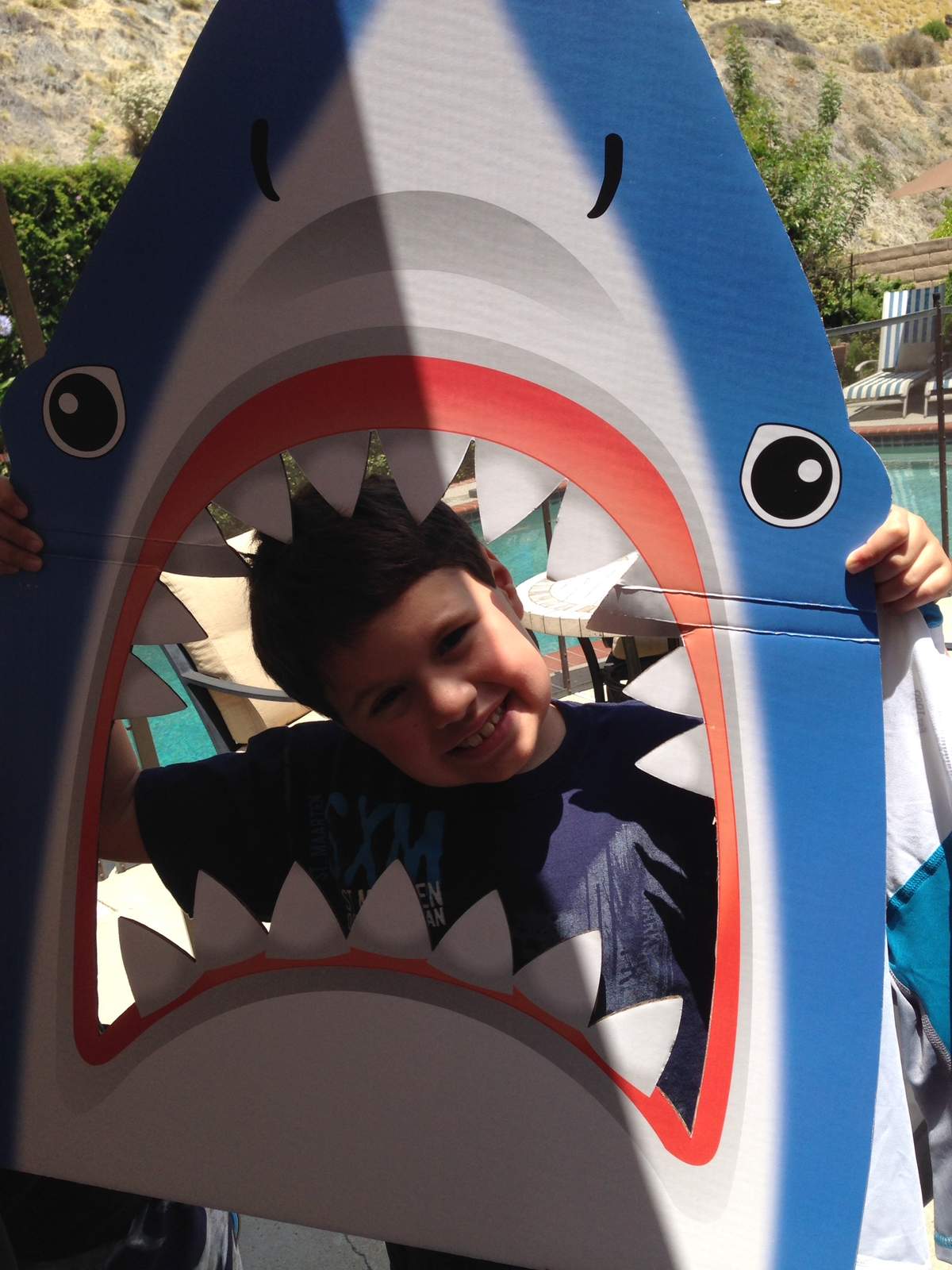 Sharks Summer Party Ideas | Photo 9 of 16 | Catch My Party