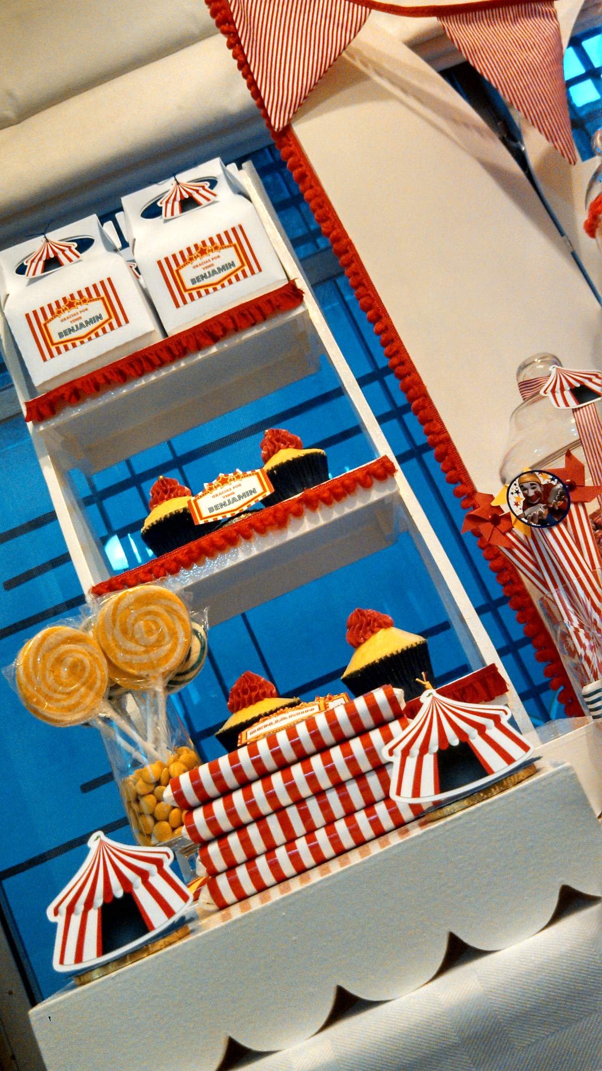 Carnival/Circus / Birthday "Circus party" | Catch My Party