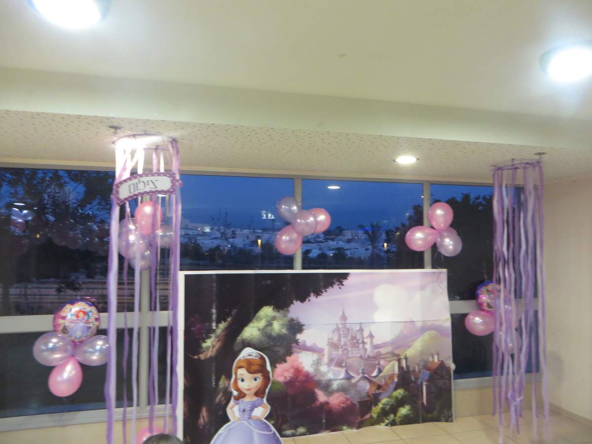 Princess Sofia Birthday Party Ideas Photo 1 Of 100 Catch My Party