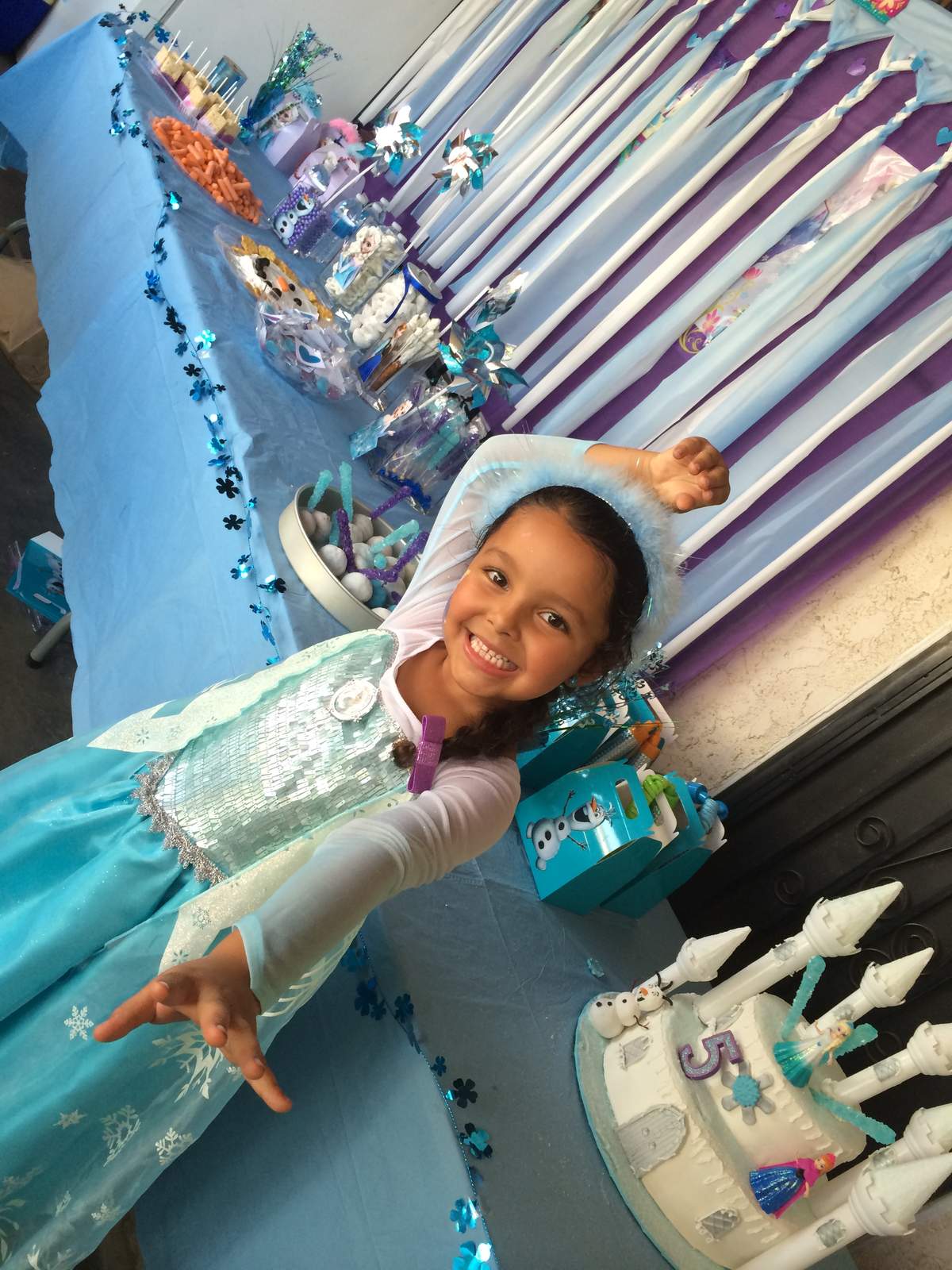 Disney Frozen, queen Elsa, Frozen, winter wonderland Birthday Party ...