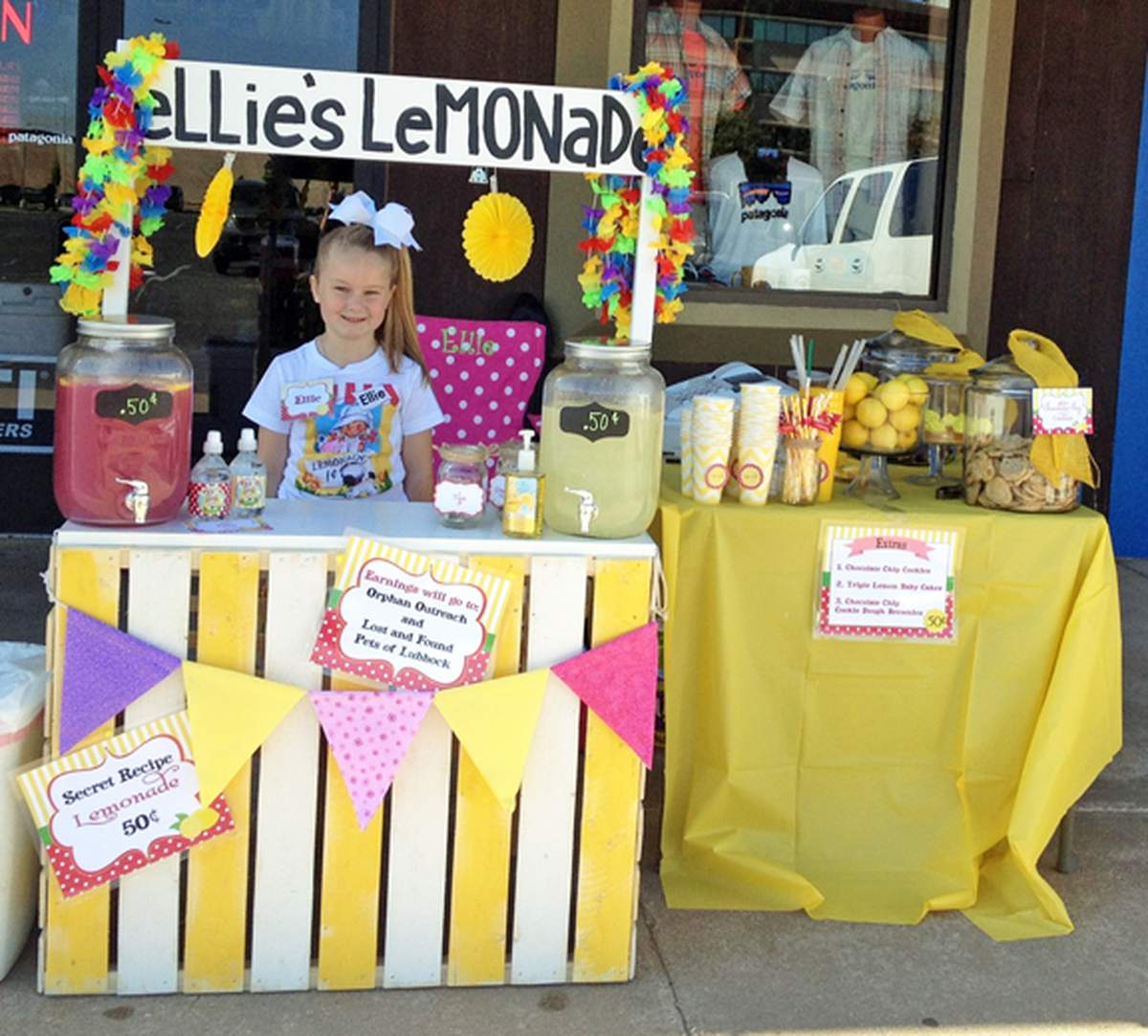 Lemonade Stand / Fundraiser "Ellie's Lemonade Stand Fundraiser" | Catch ...