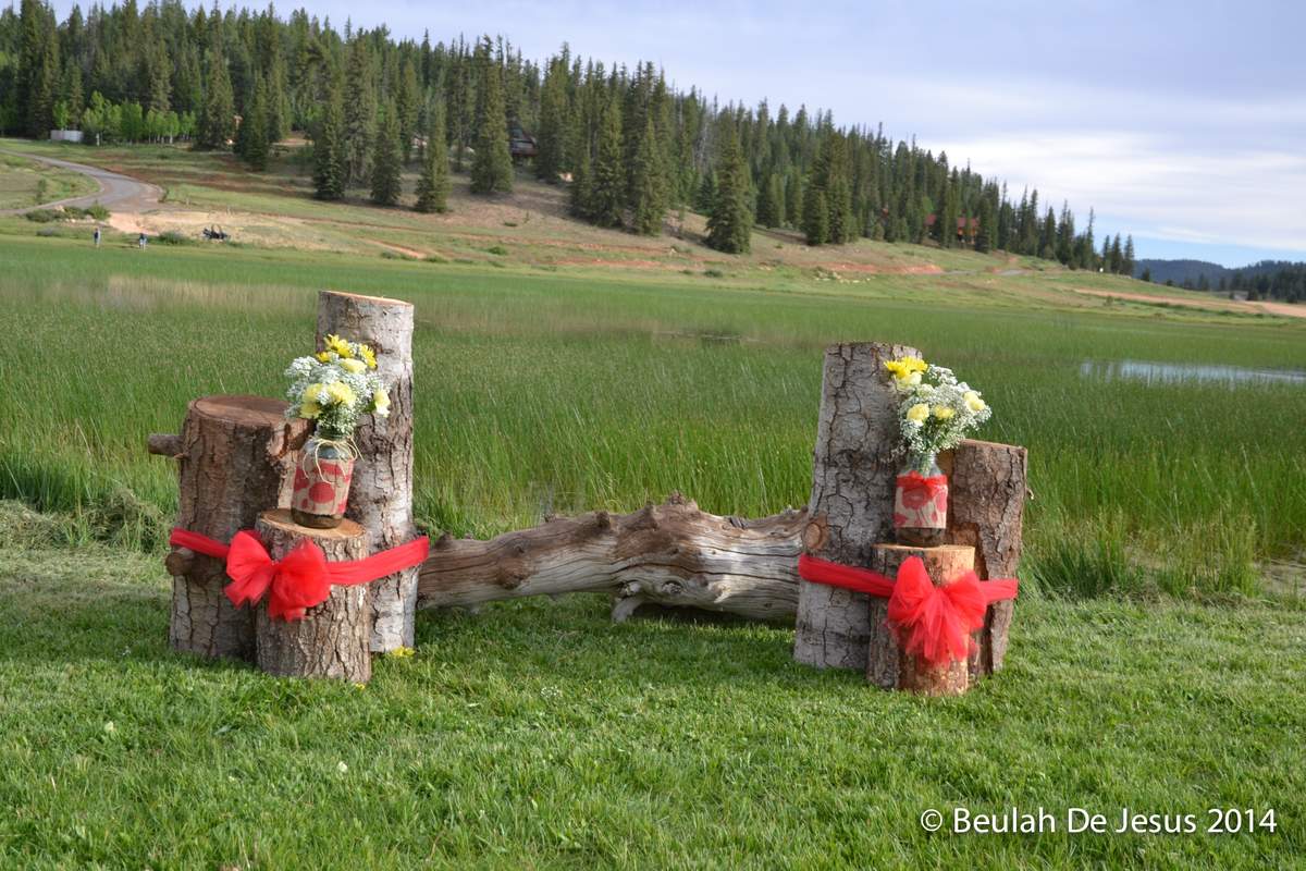 rustic, asian wedding Wedding Party Ideas | Photo 1 of 36 | Catch My Party