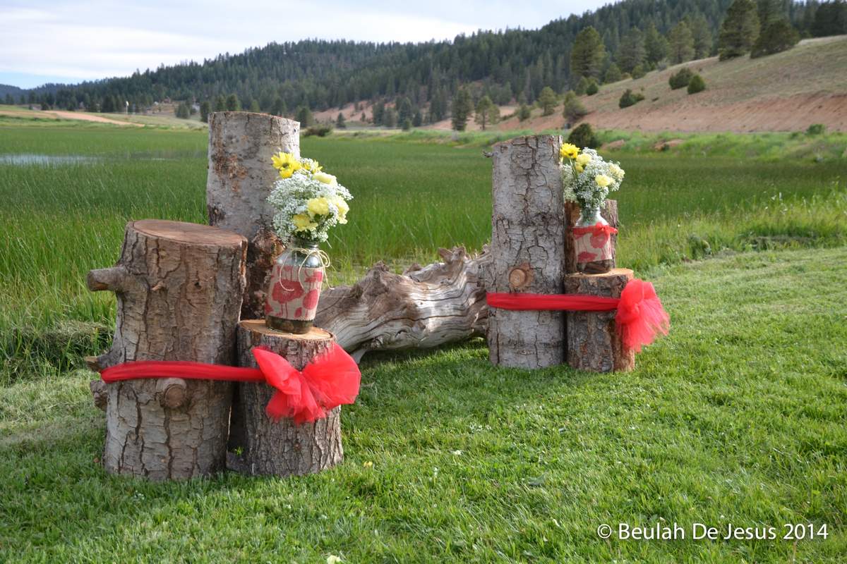 rustic, asian wedding Wedding Party Ideas | Photo 1 of 36 | Catch My Party