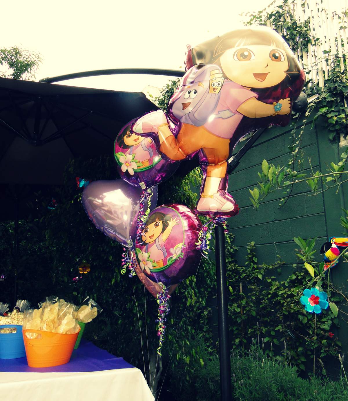 Dora the Explorer Birthday Party Ideas | Photo 43 of 54 | Catch My Party