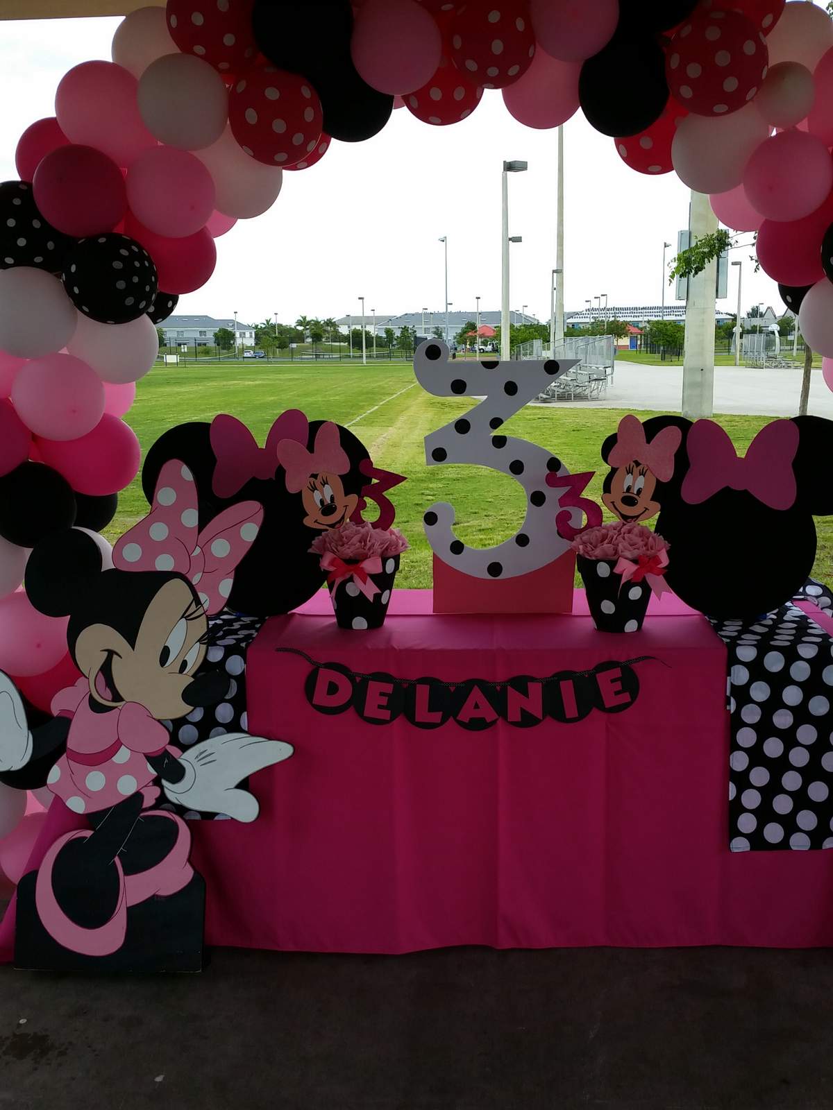 Minnie Mouse Polka dots Birthday Party Ideas | Photo 1 of 4 | Catch My Party
