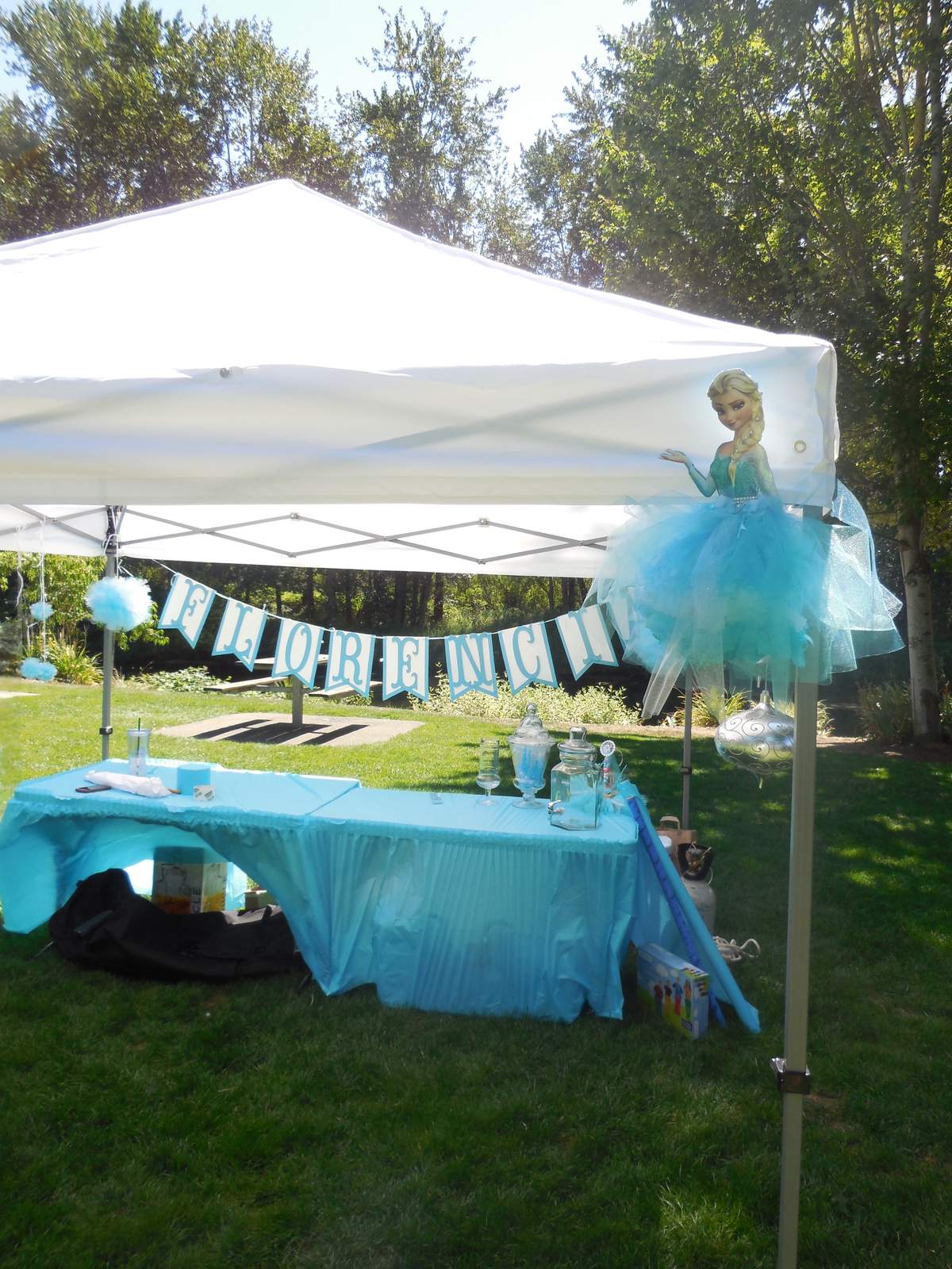 Frozen Elsa Birthday Party Ideas | Photo 1 of 16 | Catch My Party