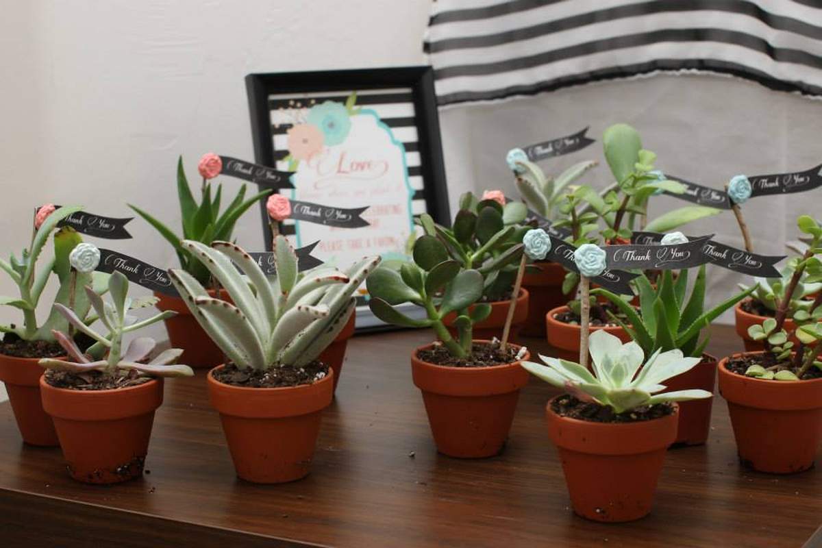 Botanical Bridal/Wedding Shower Party Ideas | Photo 7 of 37 | Catch My ...