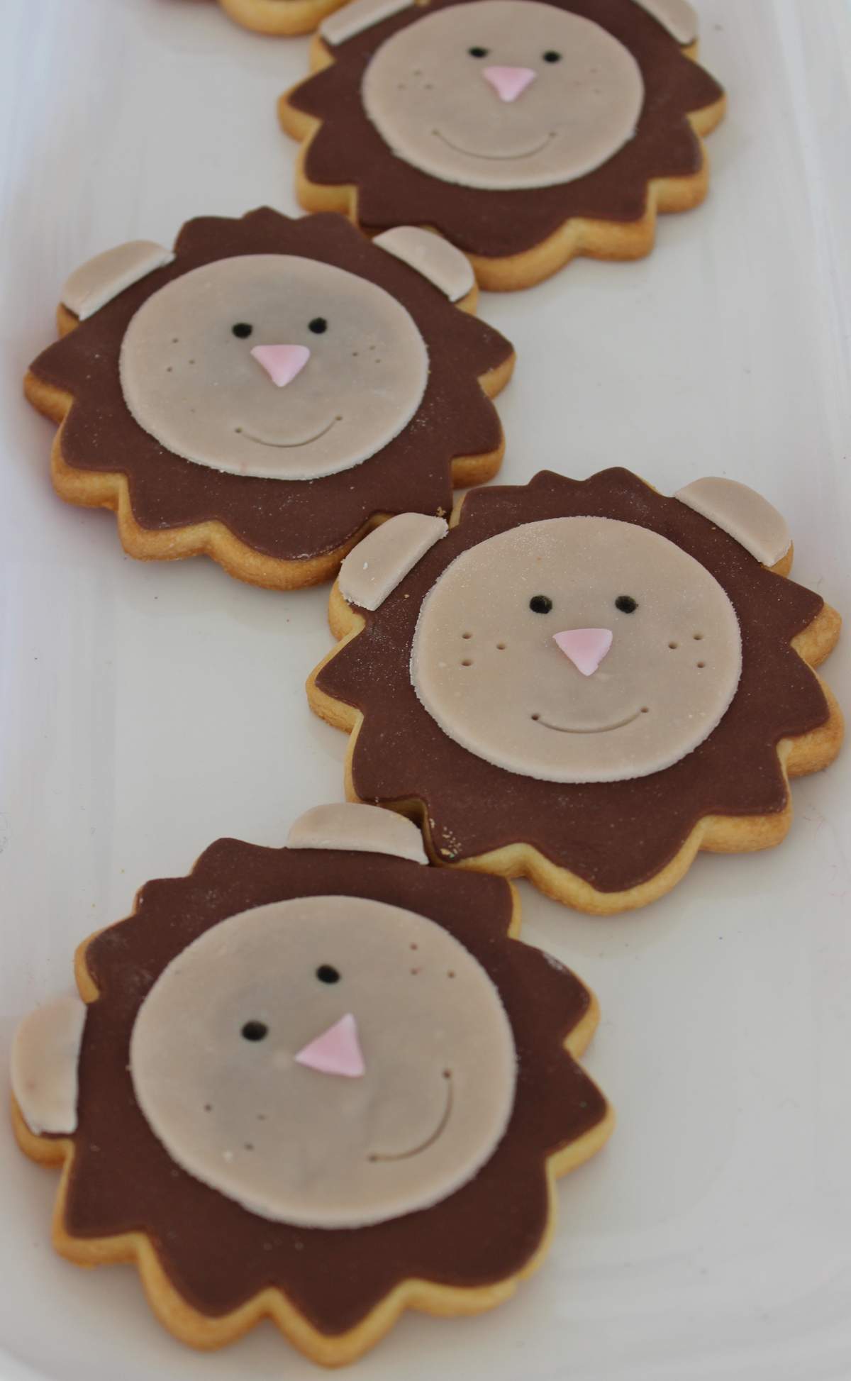 Jungle Birthday Party Ideas | Photo 1 of 11 | Catch My Party