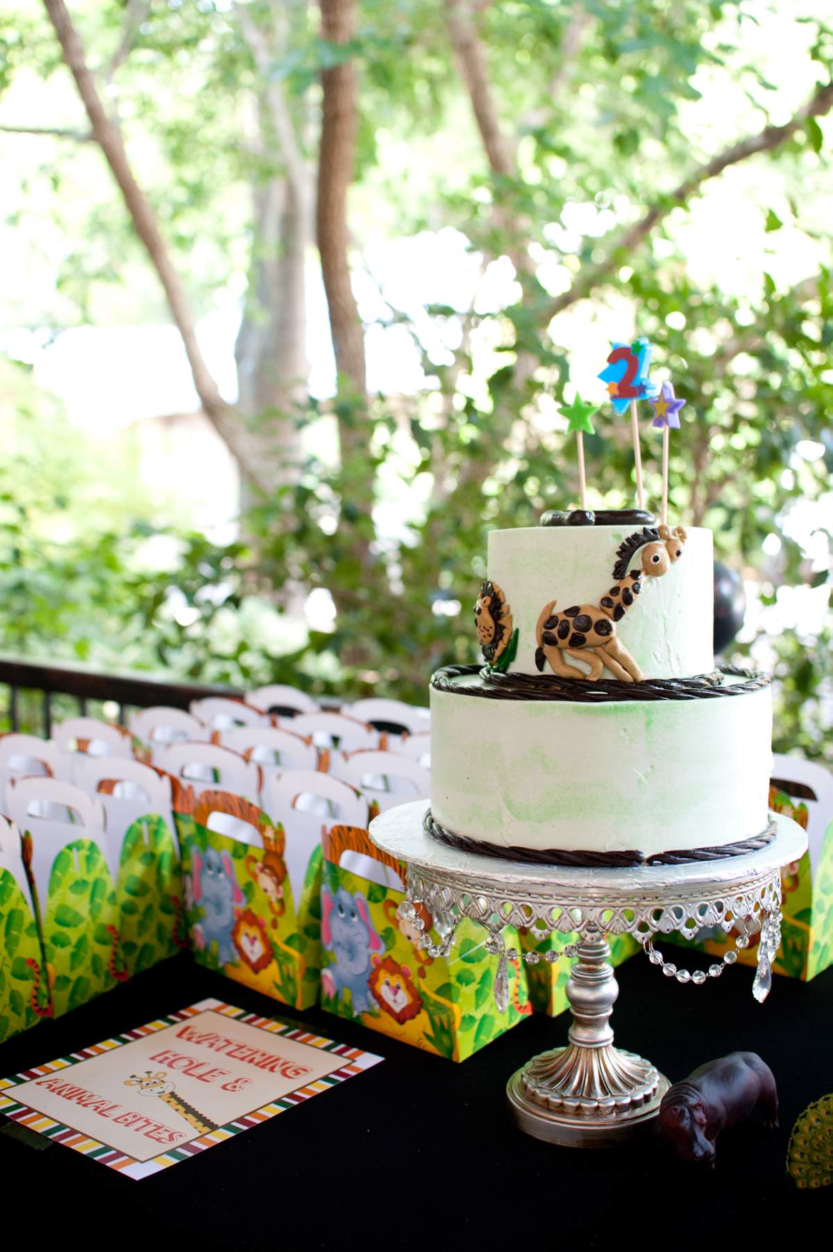 zoo keeper Birthday Party Ideas | Photo 1 of 27 | Catch My Party