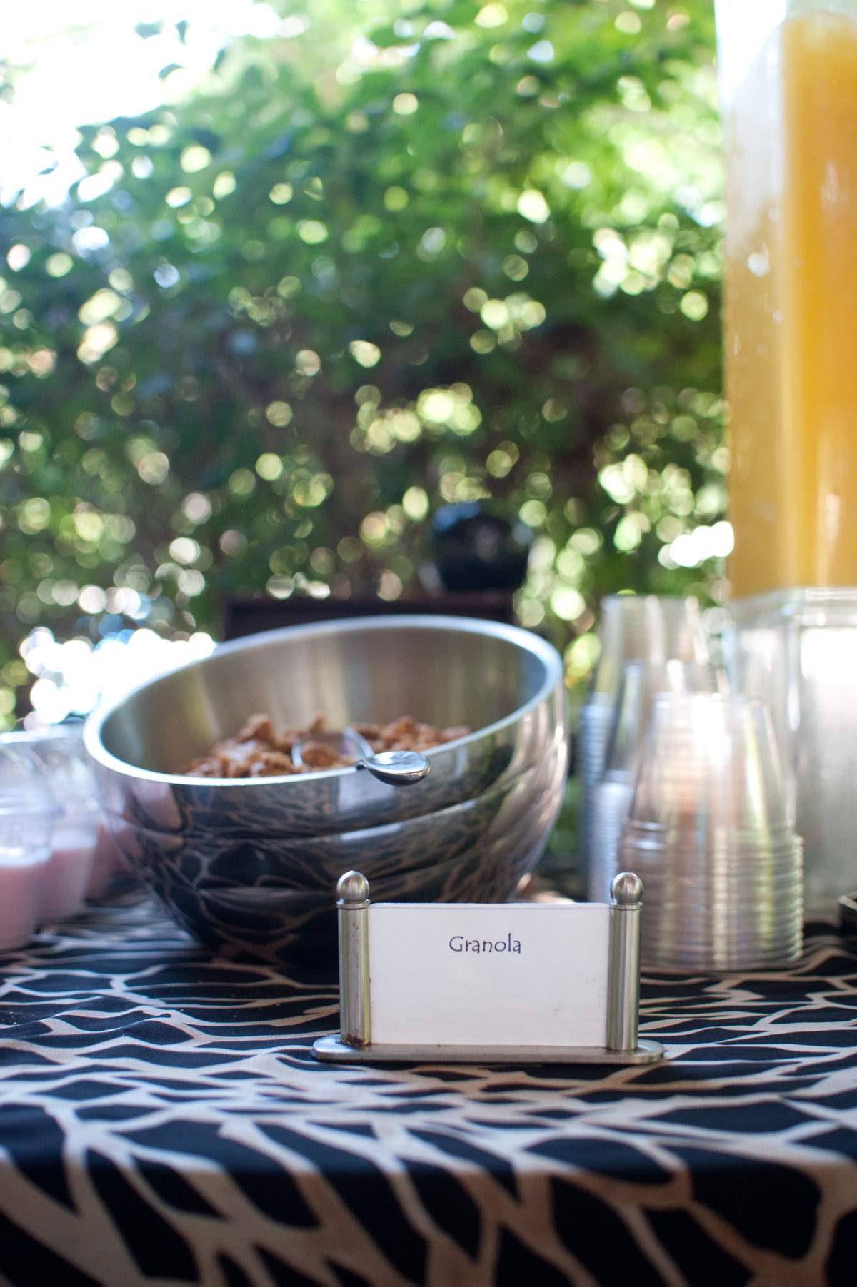 zoo keeper Birthday Party Ideas | Photo 1 of 27 | Catch My Party