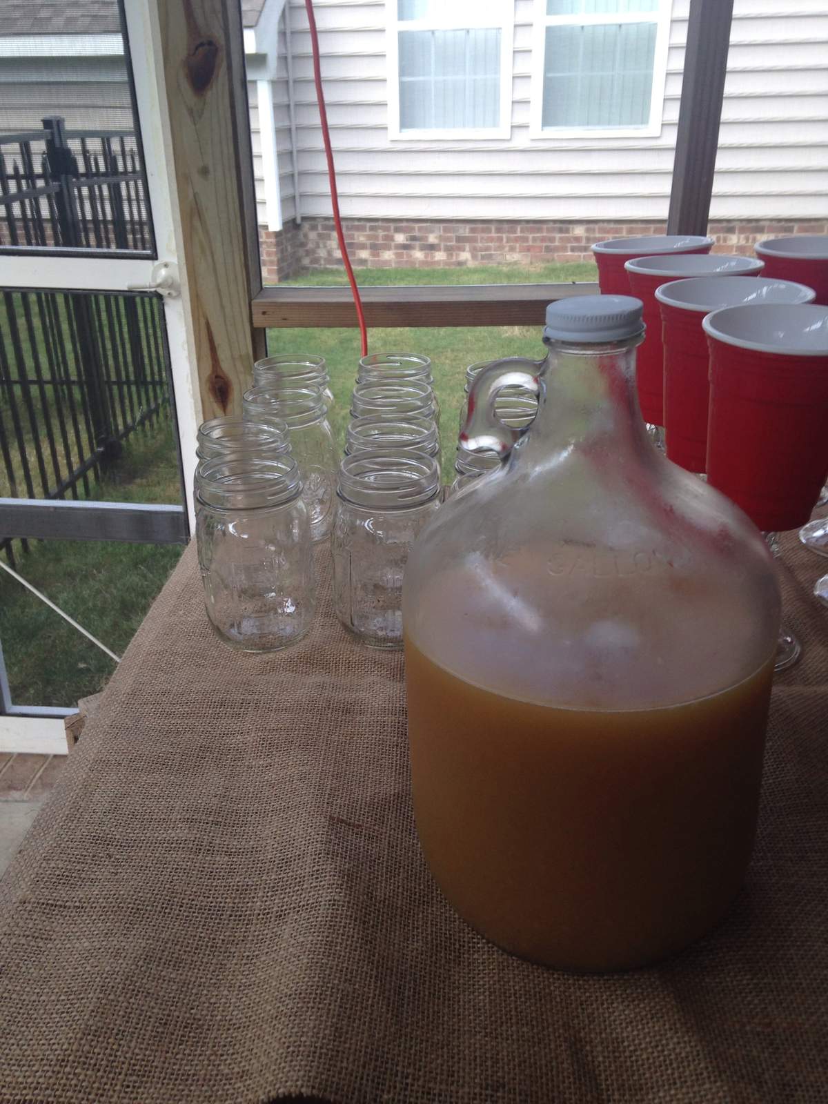 Redneck/Red Solo Cup Summer Party Ideas | Photo 9 of 10 | Catch My Party