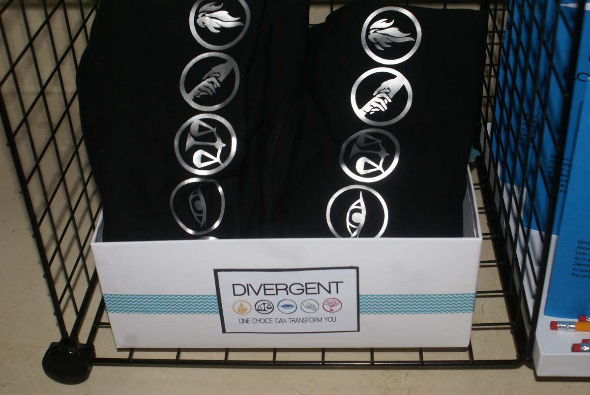 Divergent Birthday Party Ideas | Photo 2 of 44 | Catch My Party