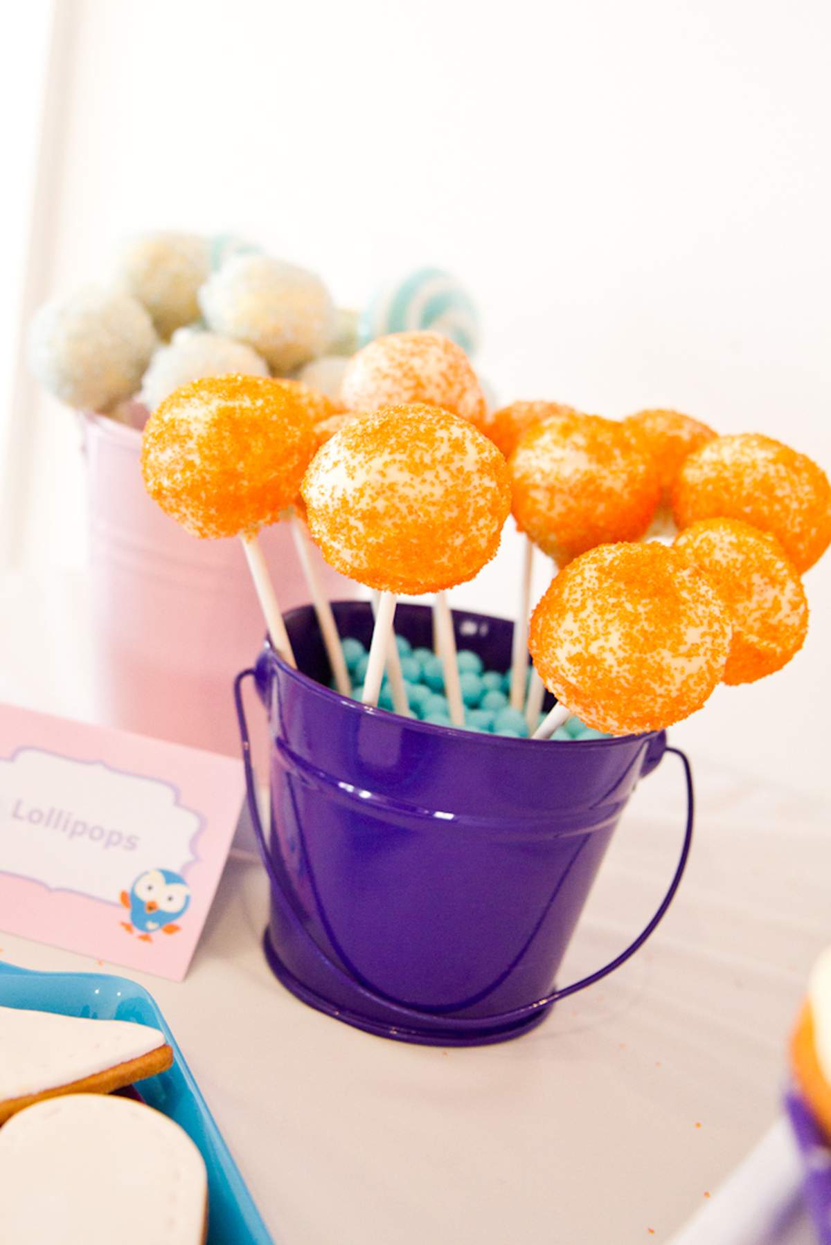 Giggle and Hoot Birthday Party Ideas | Photo 10 of 14 | Catch My Party