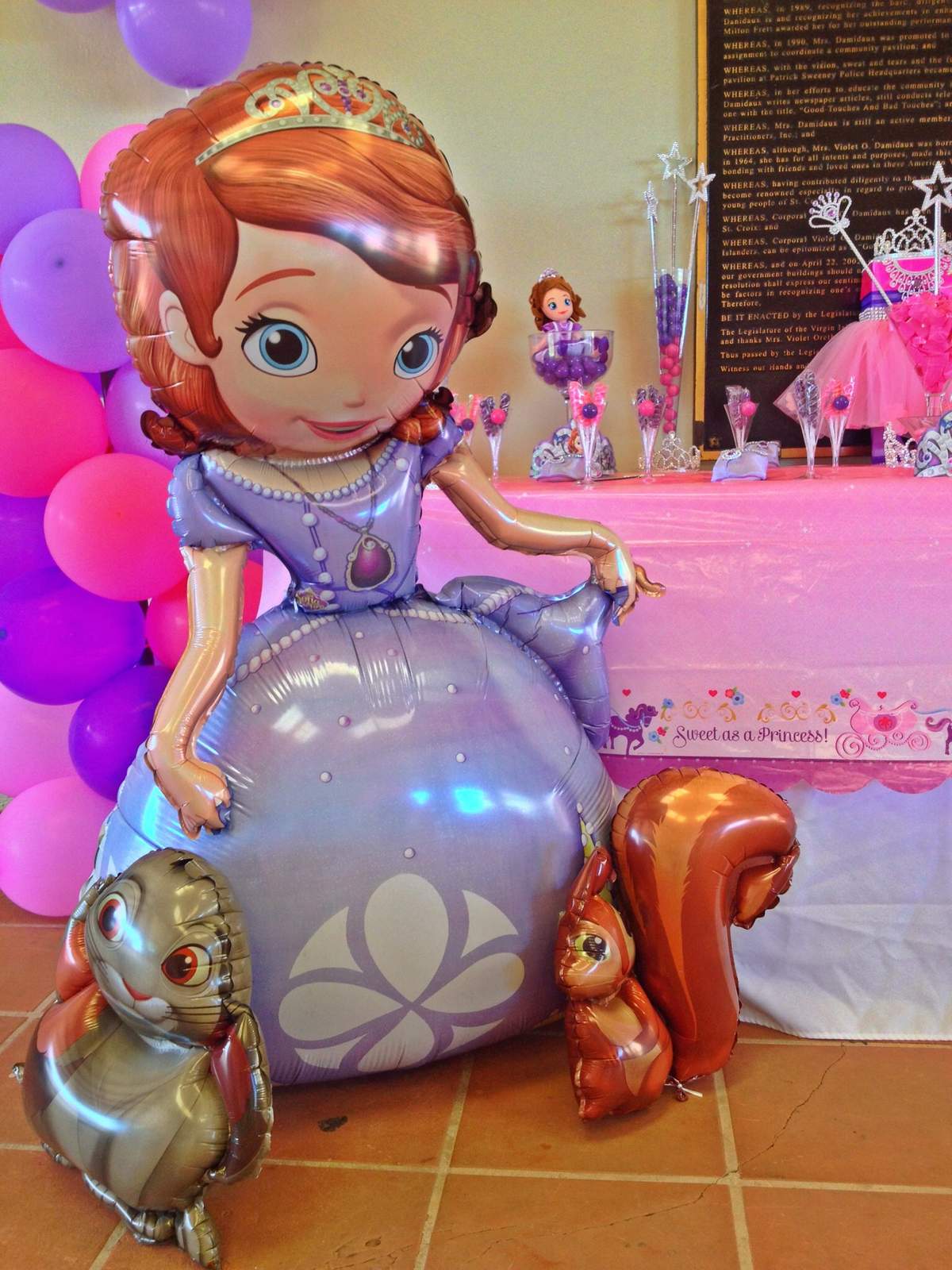 Sofia the First Birthday Party Ideas | Photo 1 of 11 | Catch My Party