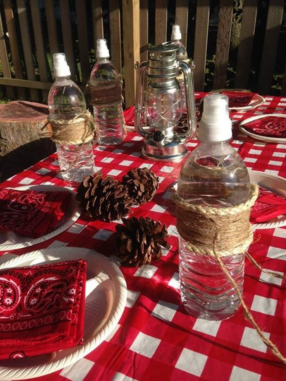 Camping / Summer Camp Birthday Party Ideas | Photo 14 of 42 | Catch My ...