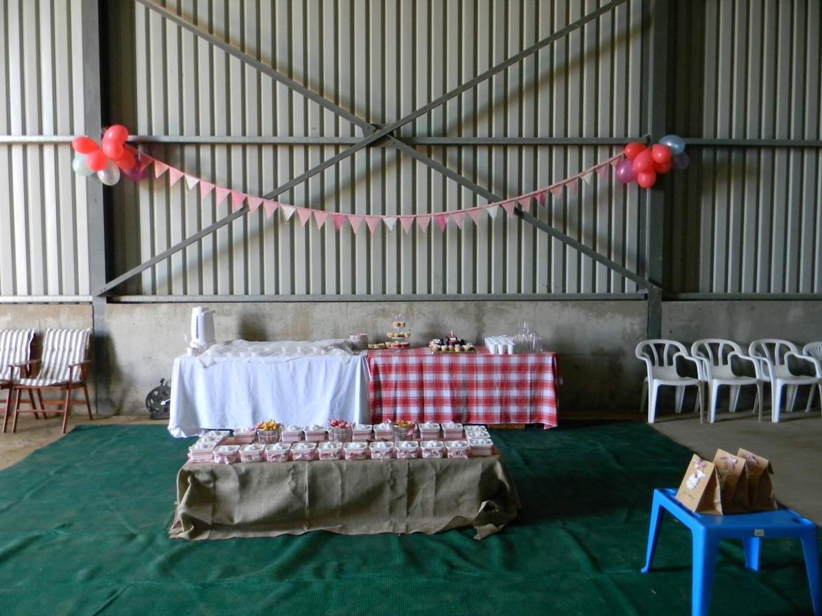 Farmyard party / Birthday "Kayla's 2nd Farm theme party" | Catch My Party