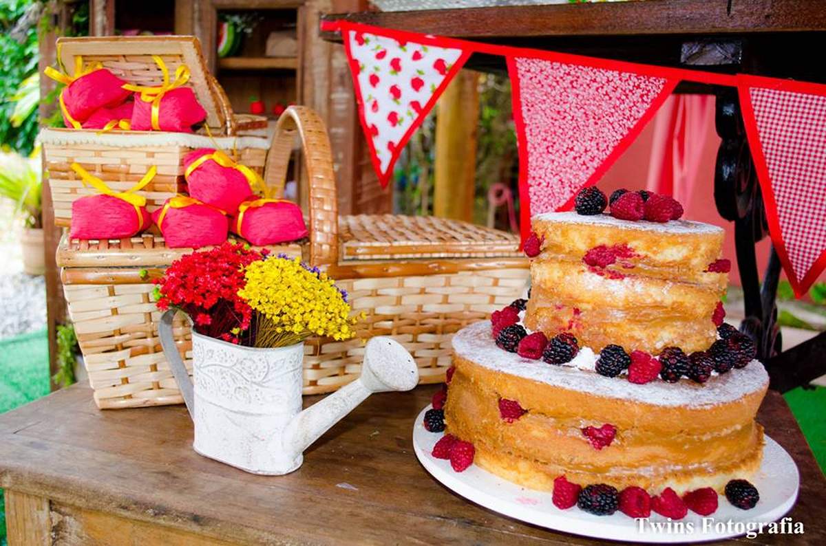 Picnic Birthday Party Ideas | Photo 5 of 24 | Catch My Party