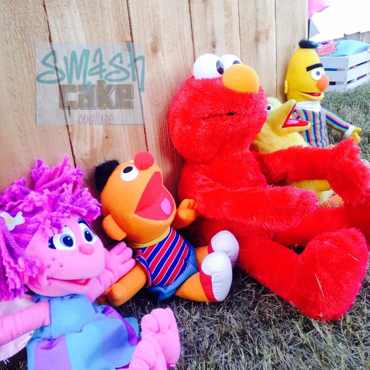 Sesame Street Birthday Party Ideas | Photo 1 of 43 | Catch My Party