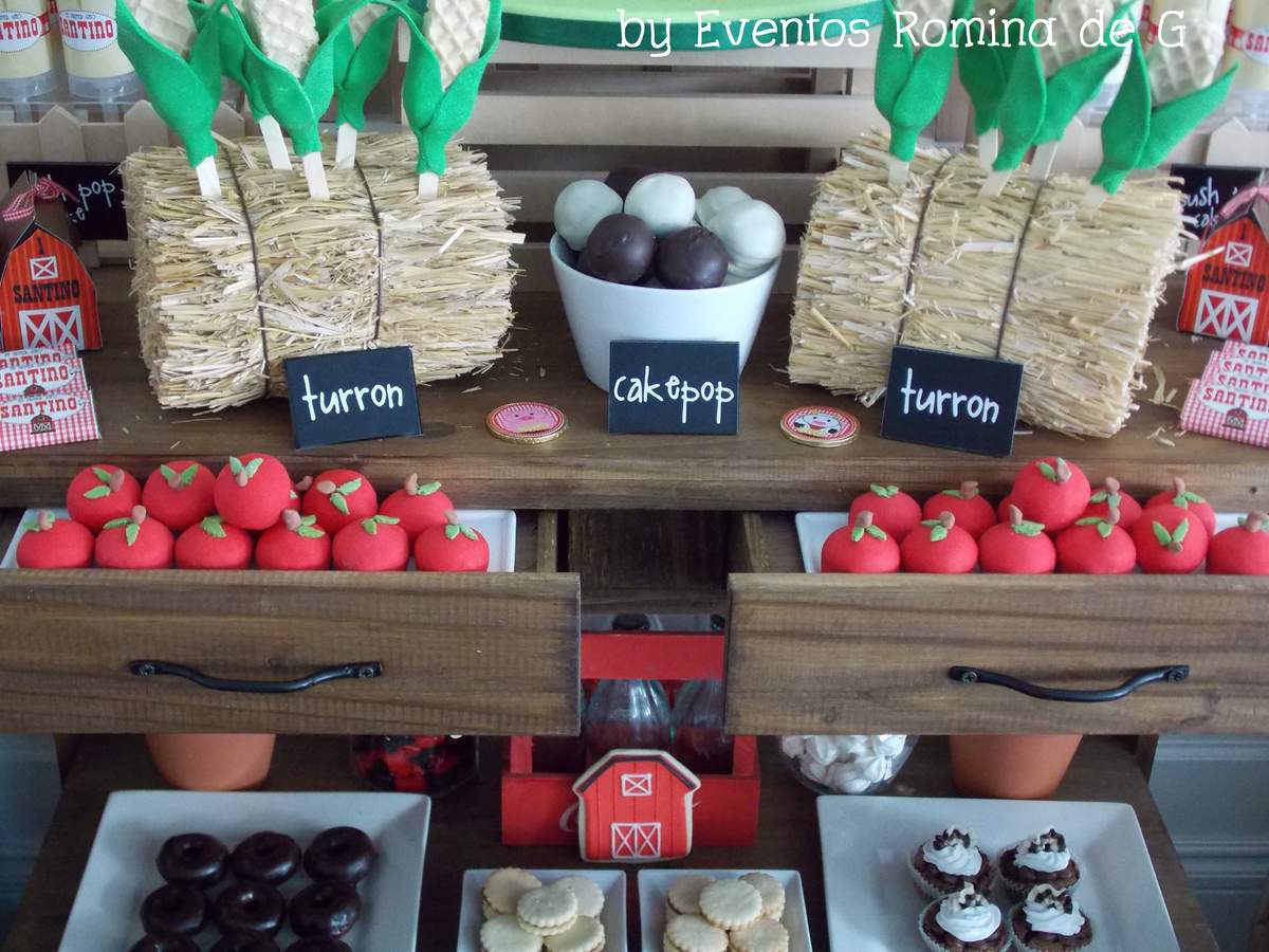 Farm Birthday Party Ideas | Photo 4 of 8 | Catch My Party
