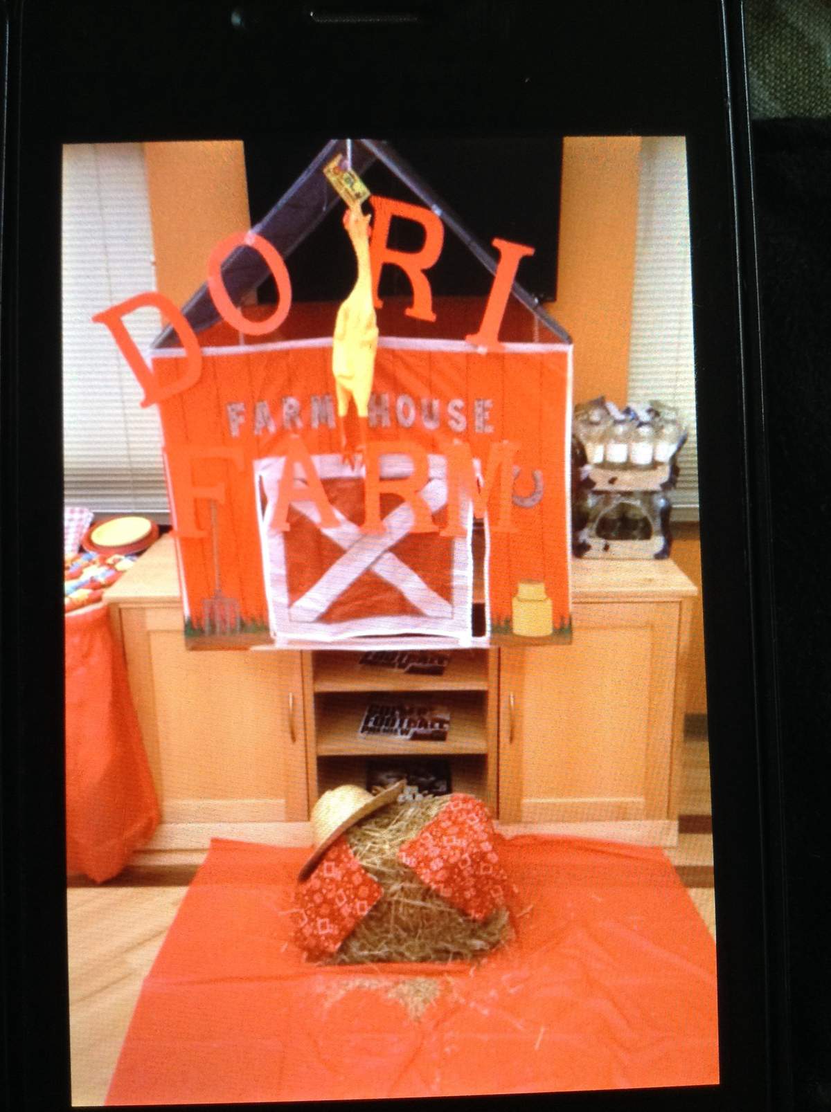 Farm/Barnyard / Birthday "Dori's 1st Farm/Barnyard party" | Catch My Party