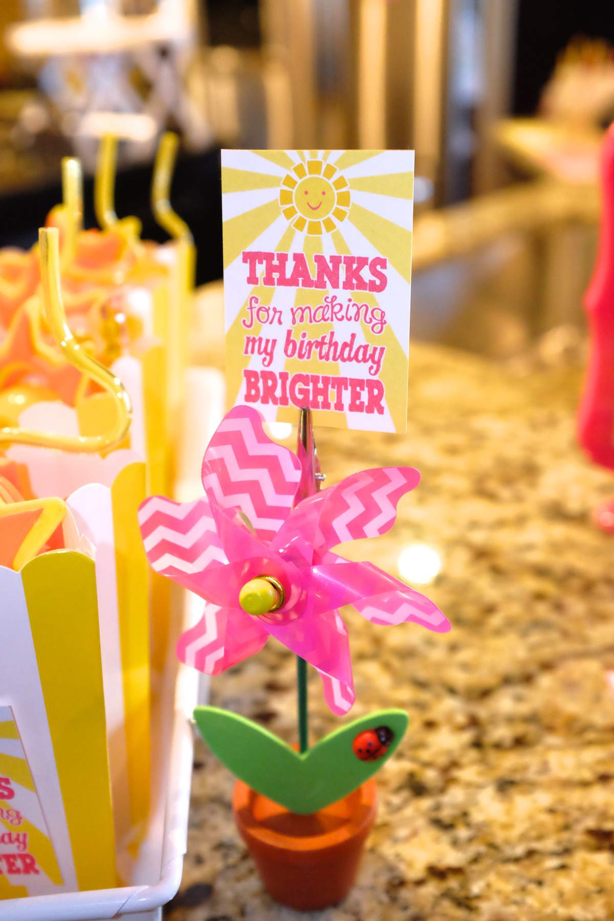 You Are My Sunshine Birthday Party Ideas | Photo 57 of 79 | Catch My Party