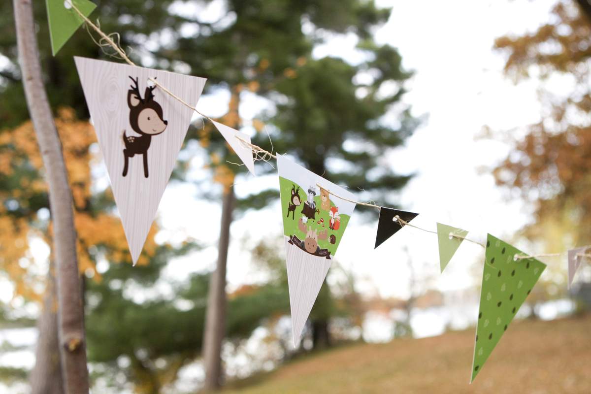 Woodland Creatures Baby Shower Party Ideas | Photo 18 of 24 | Catch My ...