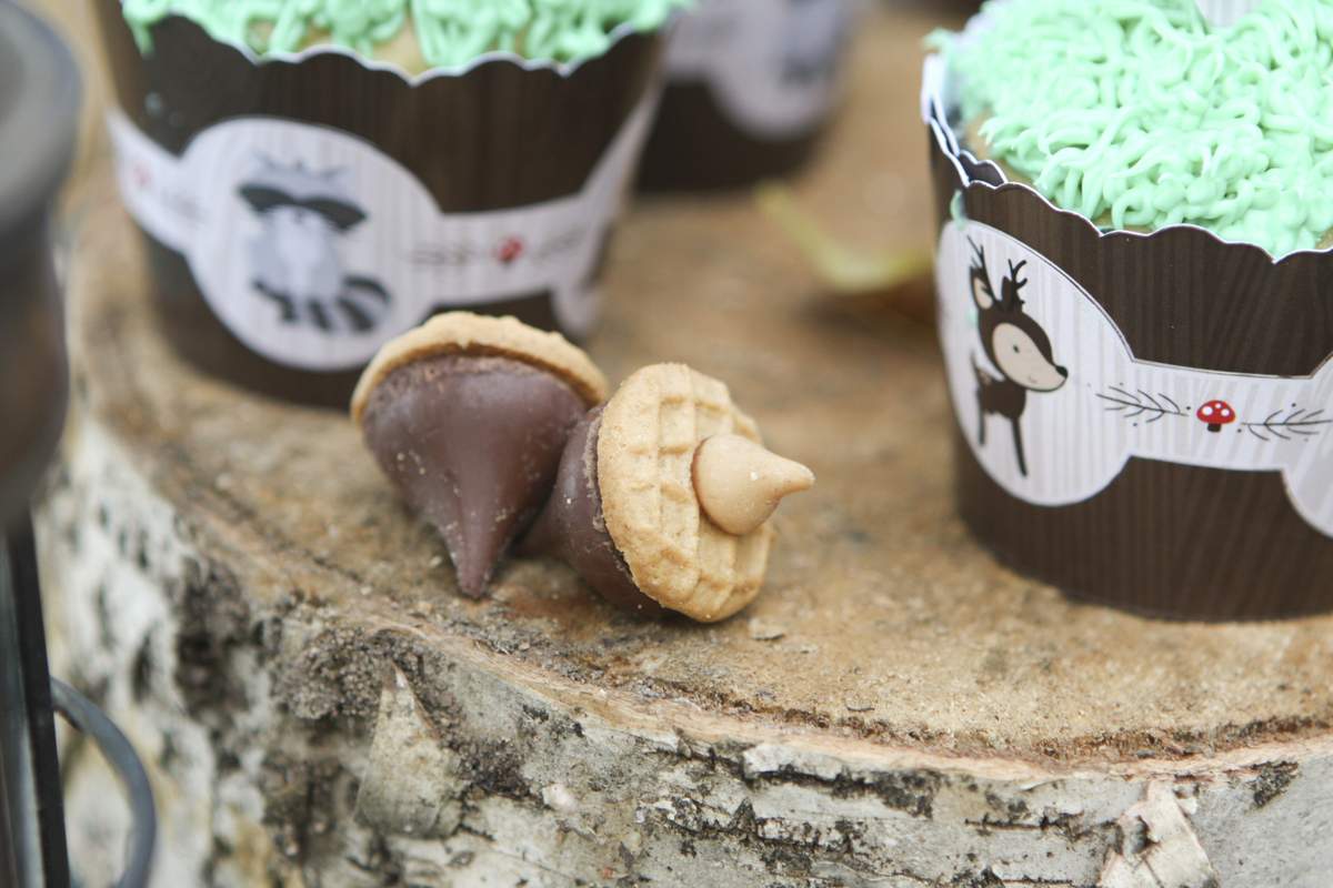 Woodland Creatures Baby Shower Party Ideas | Photo 18 of 24 | Catch My ...
