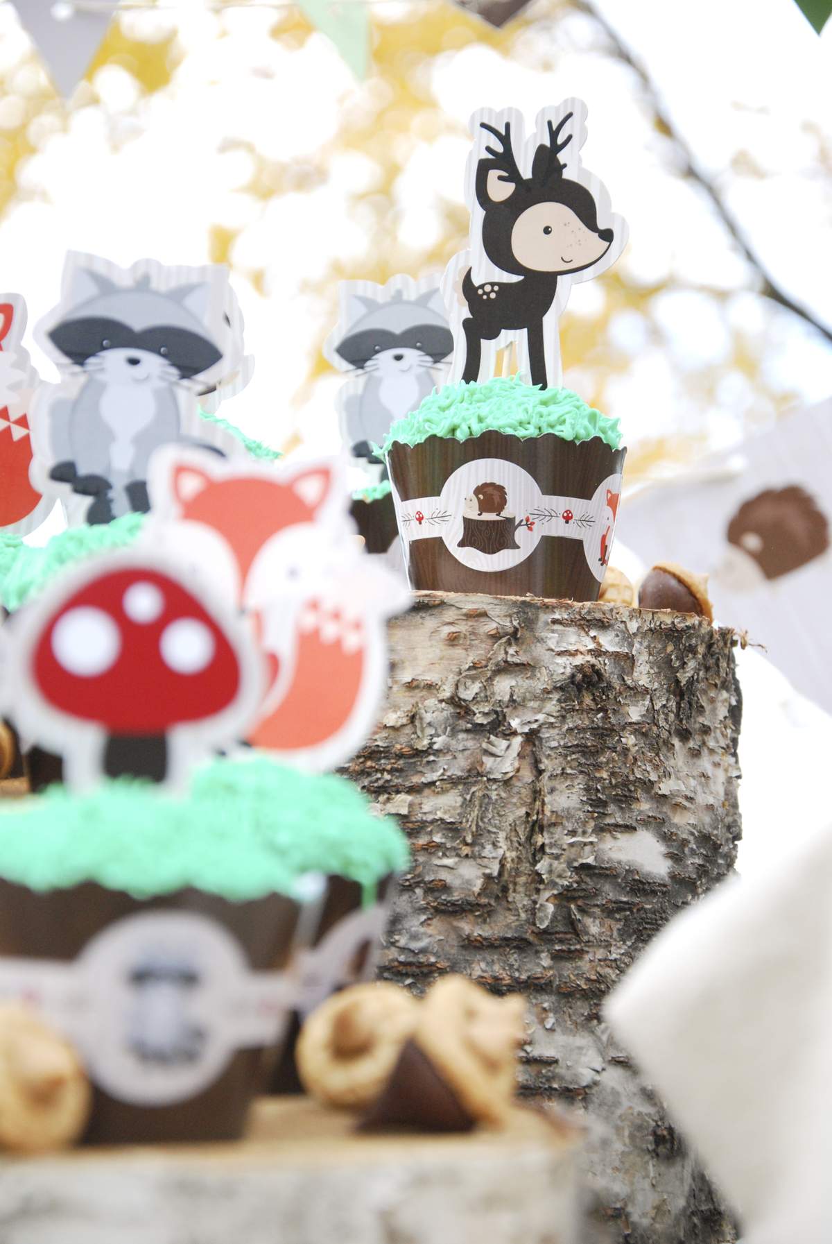 Woodland Creatures Baby Shower Party Ideas | Photo 18 of 24 | Catch My ...