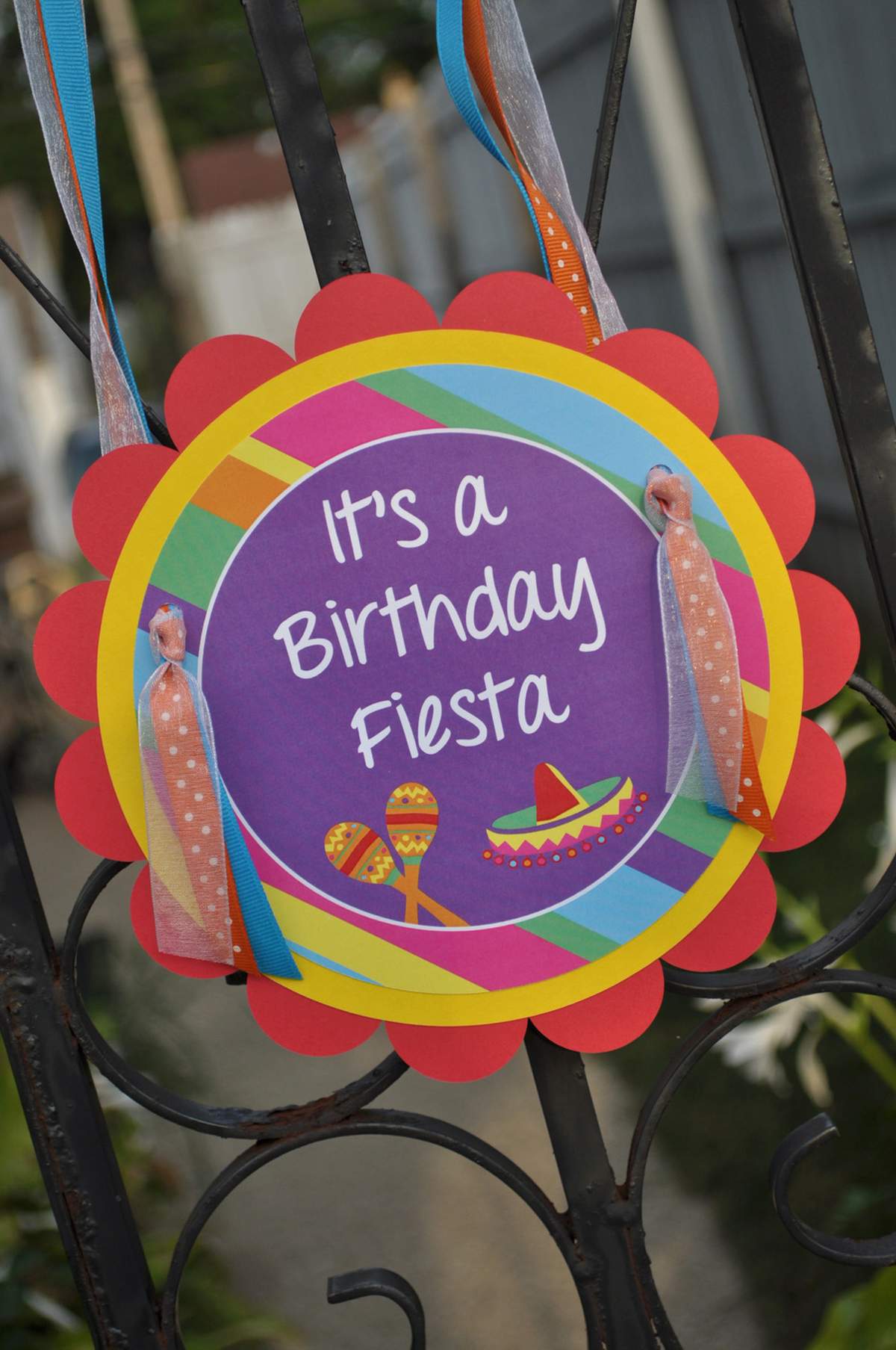 Fiesta / Mexican / Birthday "Fiesta Birthday Party" | Catch My Party