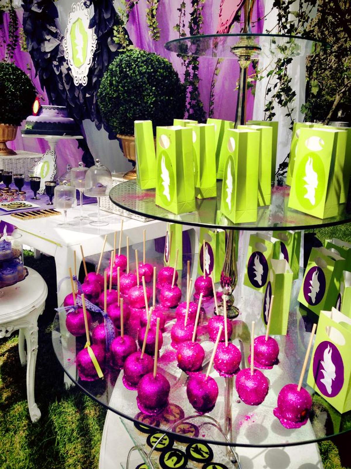Maleficent Birthday Party Ideas | Photo 1 of 23 | Catch My Party