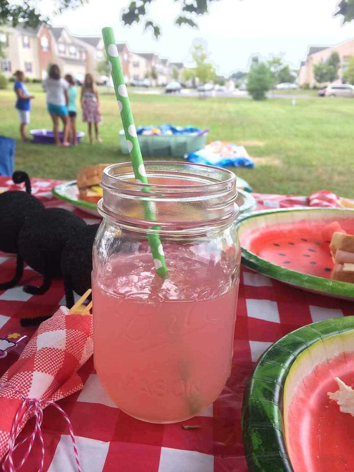 Watermelon Birthday Party Ideas | Photo 27 of 43 | Catch My Party