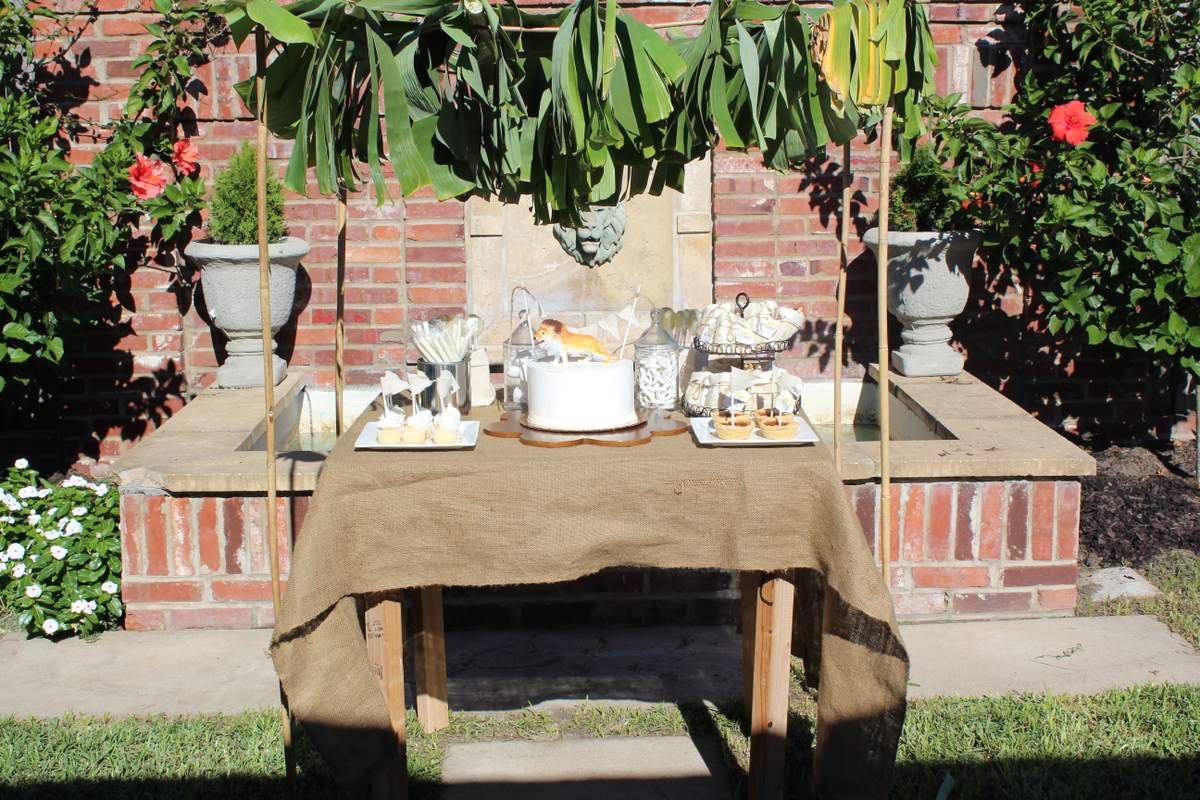 lion Birthday Party Ideas | Photo 1 of 24 | Catch My Party