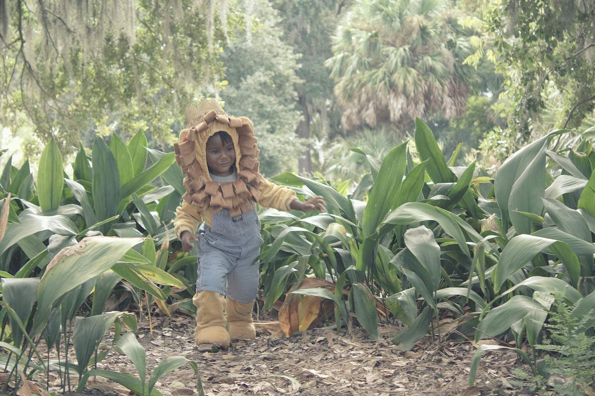 lion Birthday Party Ideas | Photo 2 of 24 | Catch My Party