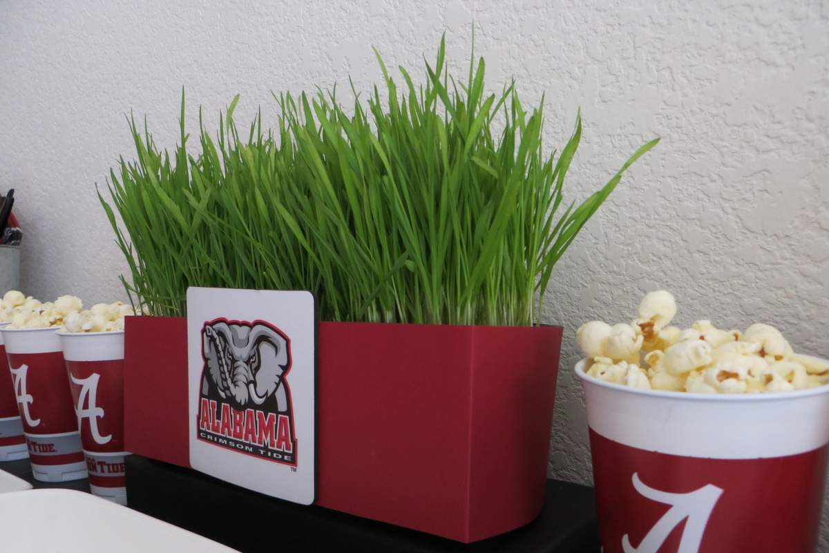 Alabama Football Football Party Ideas | Photo 5 of 8 | Catch My Party