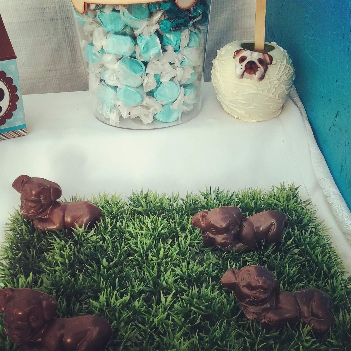 Dogs / Puppies Dog/Puppy Party Party Ideas | Photo 2 of 19 | Catch My Party