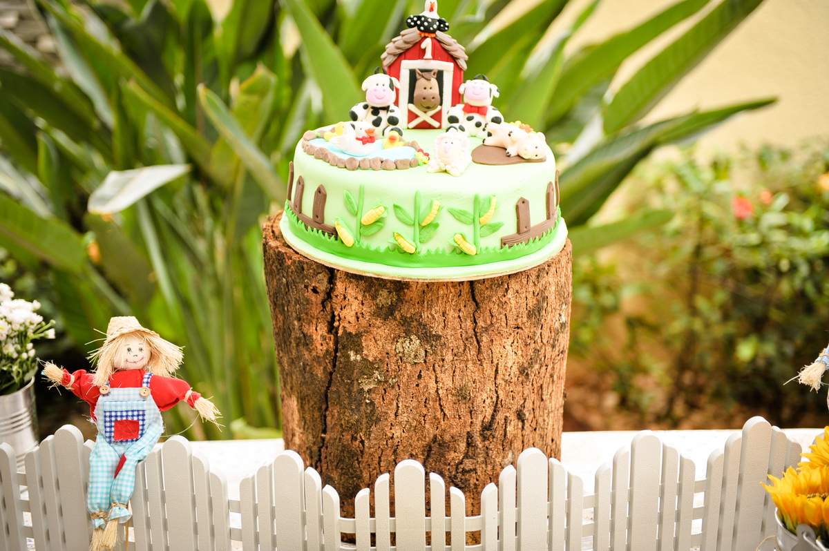 Farm Birthday Party Ideas | Photo 12 of 48 | Catch My Party