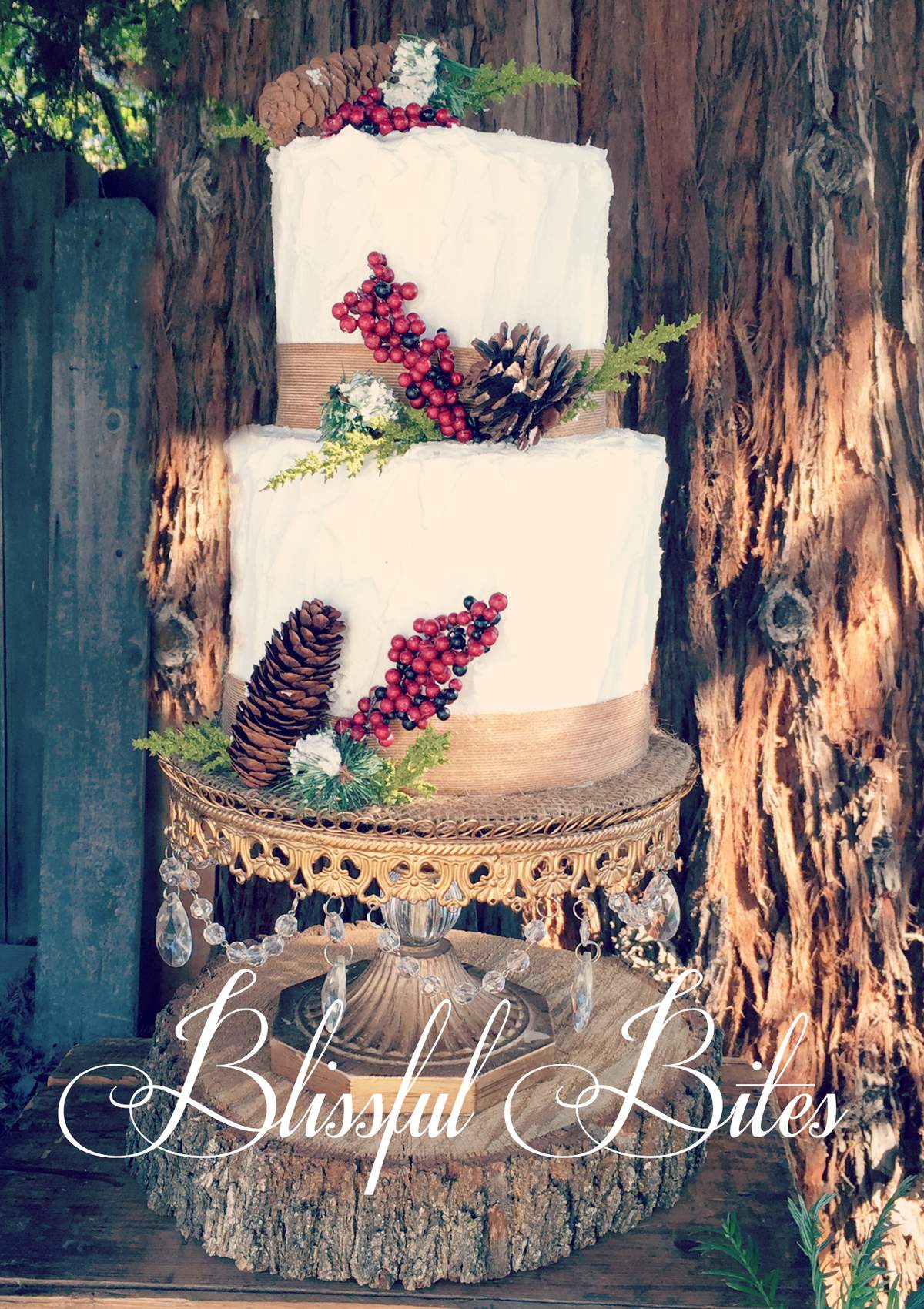 Rustic Christmas/Holiday Party Ideas | Photo 8 of 13 | Catch My Party