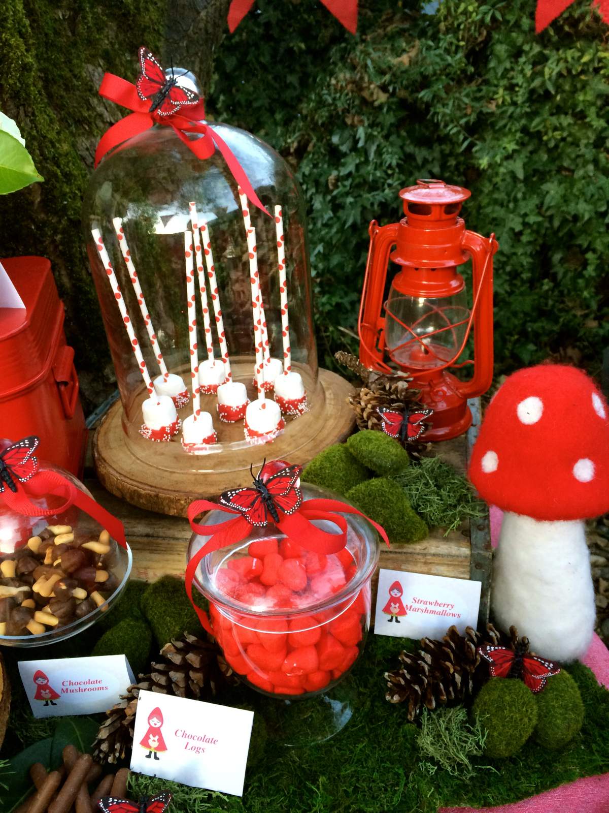 Into The Woods/Woodland/Red Riding Hood Birthday Party Ideas | Photo 1 ...