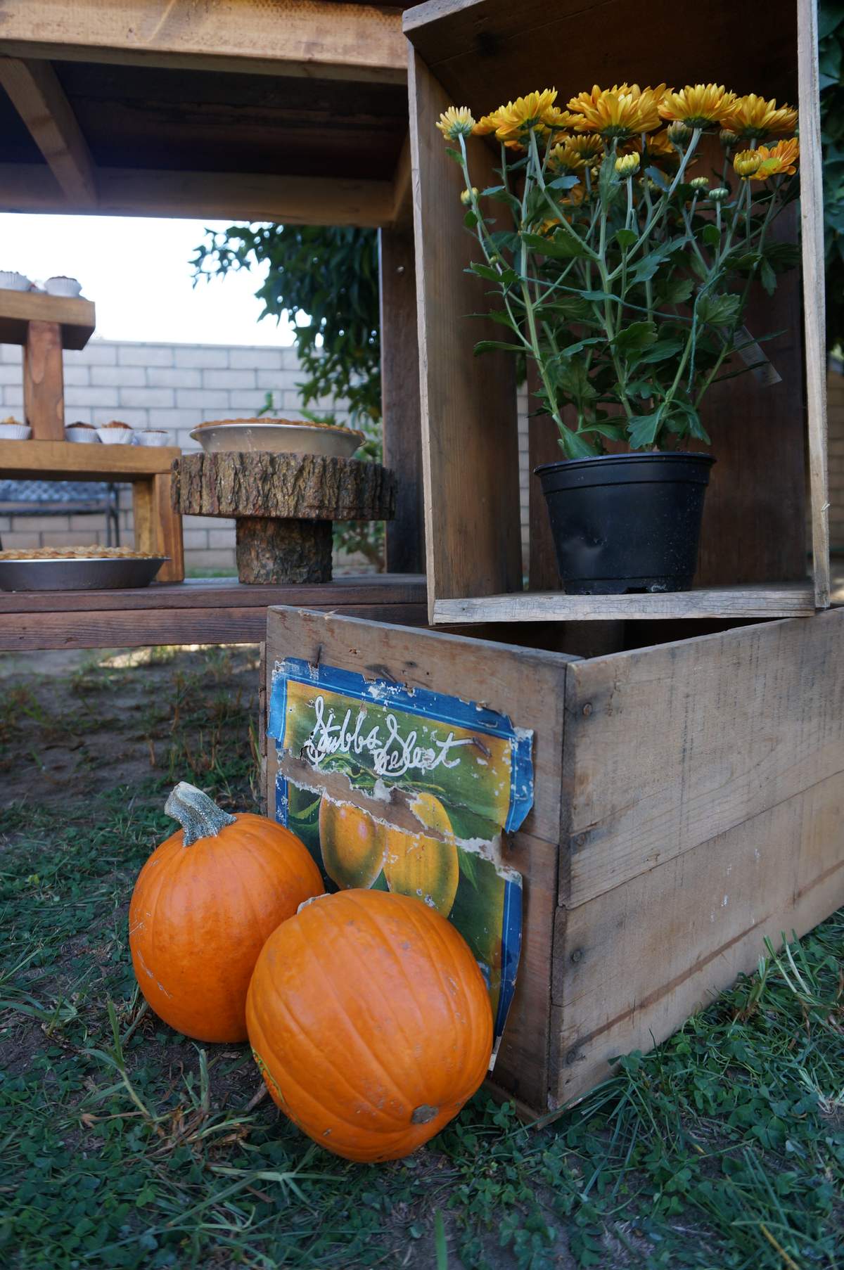 Rustic Thanksgiving Thanksgiving/Fall Party Ideas | Photo 2 of 33 ...