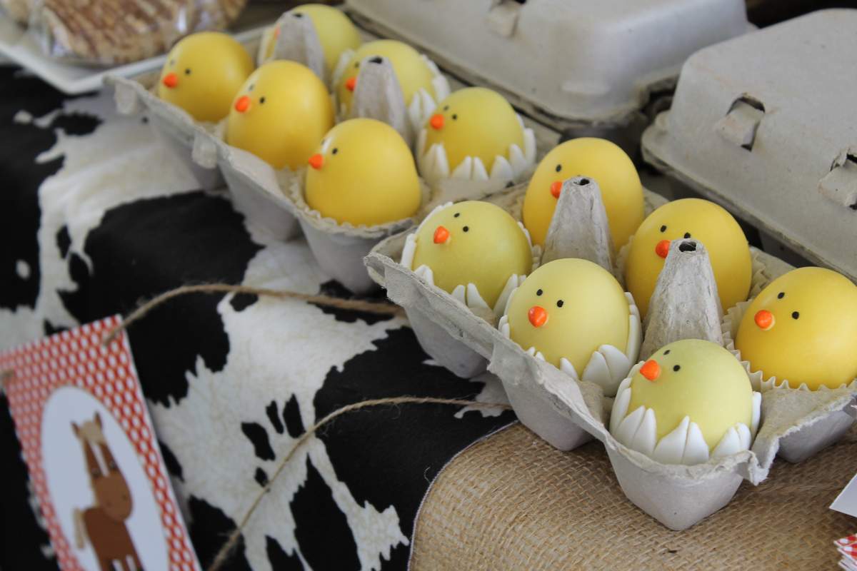 Farm Barn Birthday Party Ideas | Photo 1 of 95 | Catch My Party